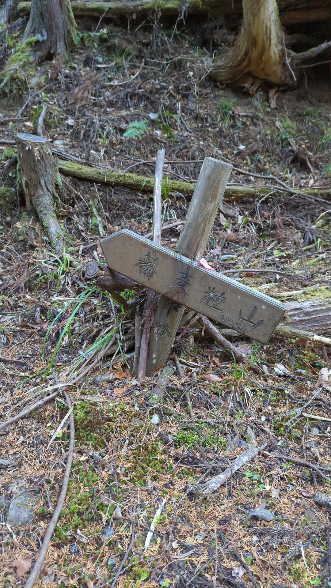 pitoring_さんの投稿したフィールドメモ | YAMAP / ヤマップ