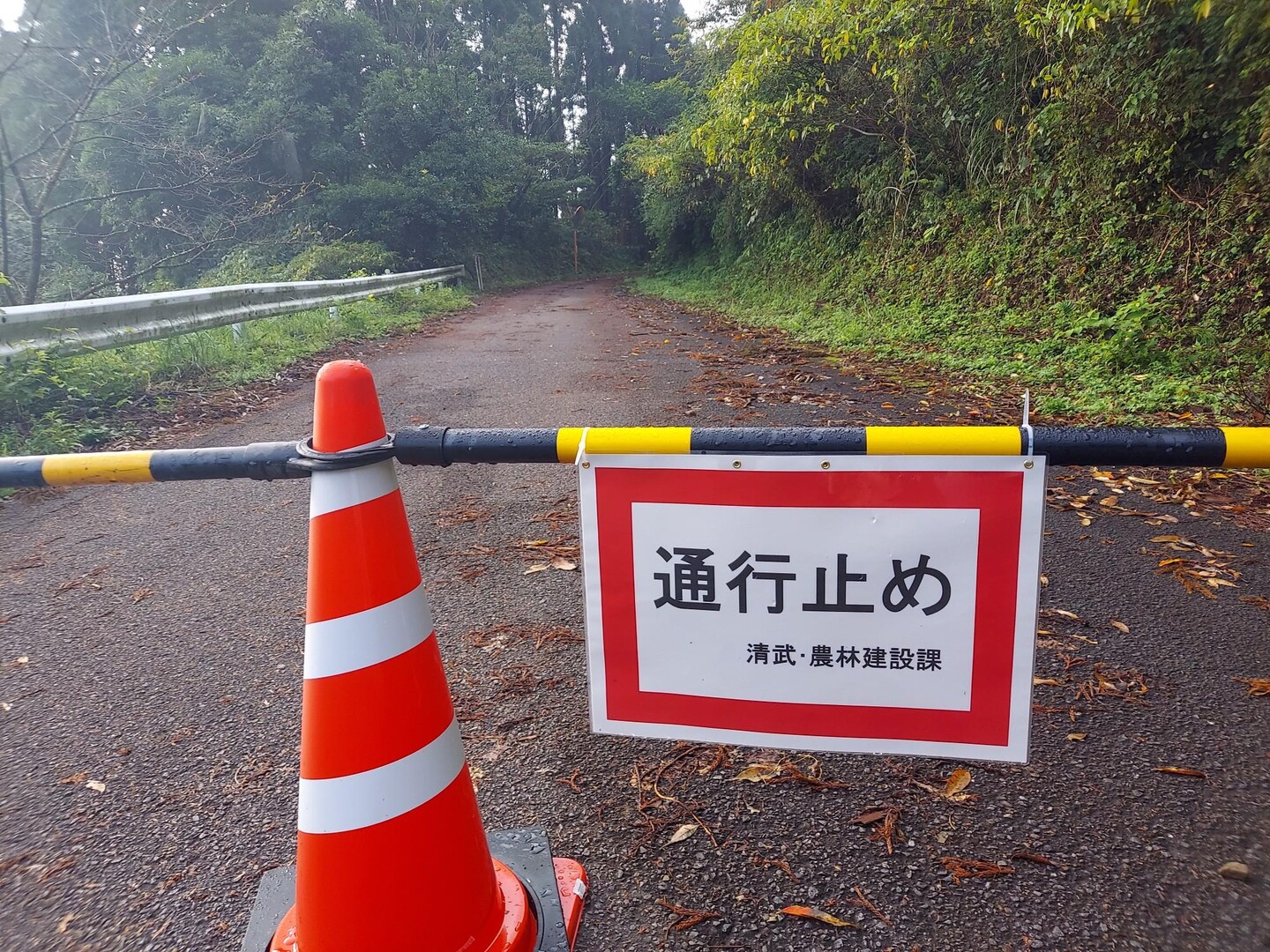 清武町、荒平山森林公園視察👀 唯一のア... / derainandreさんのモーメント | YAMAP / ヤマップ