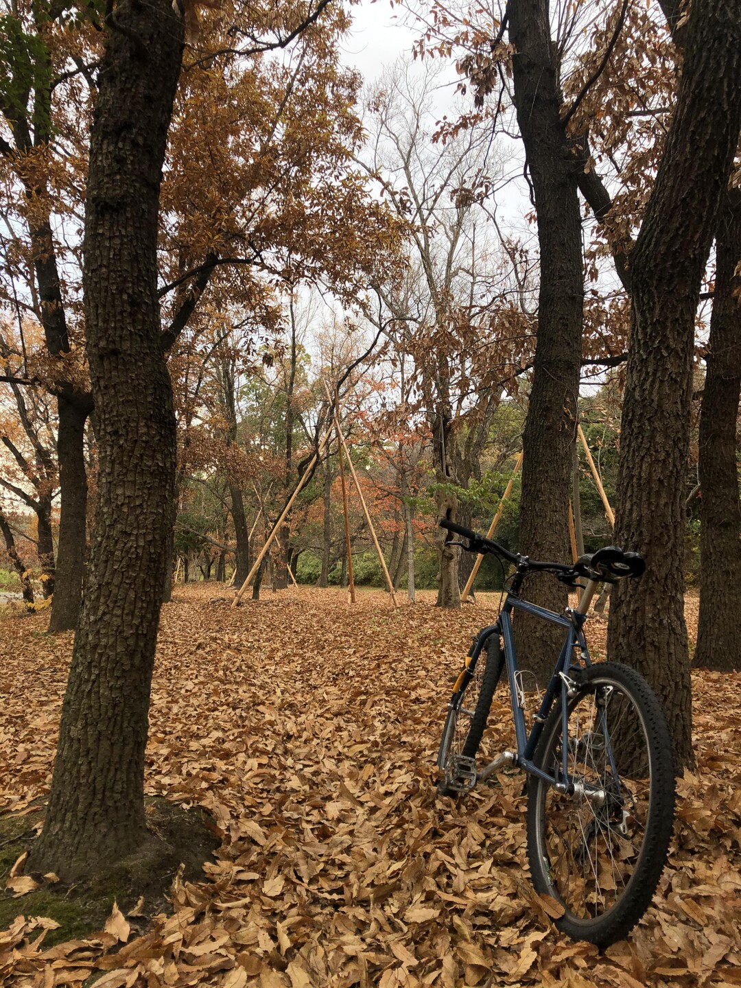 banpaku チャリ・・・ 久々、チ... / ryoさんのモーメント | YAMAP / ヤマップ