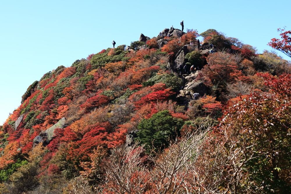 天狗ヶ城、朝駆けからの紅葉満喫 / Canon boyさんの九重山（久住山）・大船山・星生山の活動データ | YAMAP / ヤマップ
