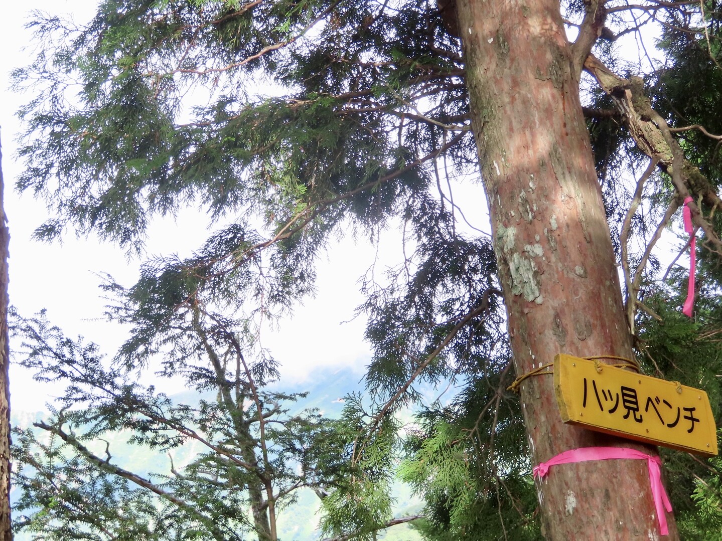 asimkさんの投稿したフィールドメモ | YAMAP / ヤマップ