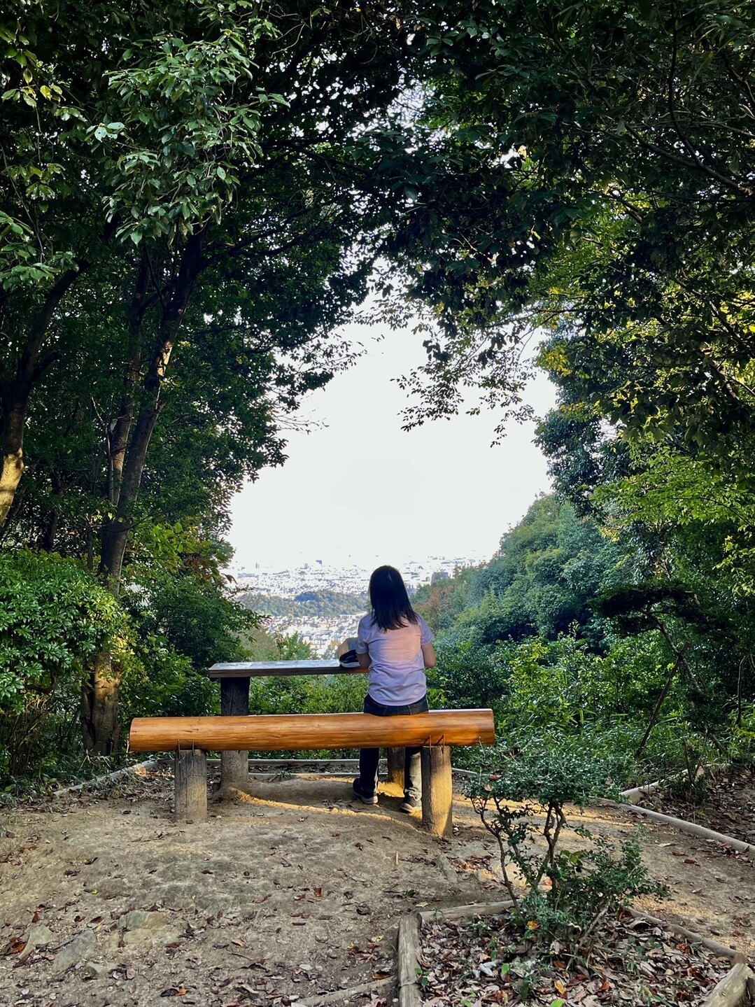 妻と買い出し途中にのんびり阿武山散策 / ミカン de mikanさんの竜王山・阿武山の活動データ | YAMAP / ヤマップ