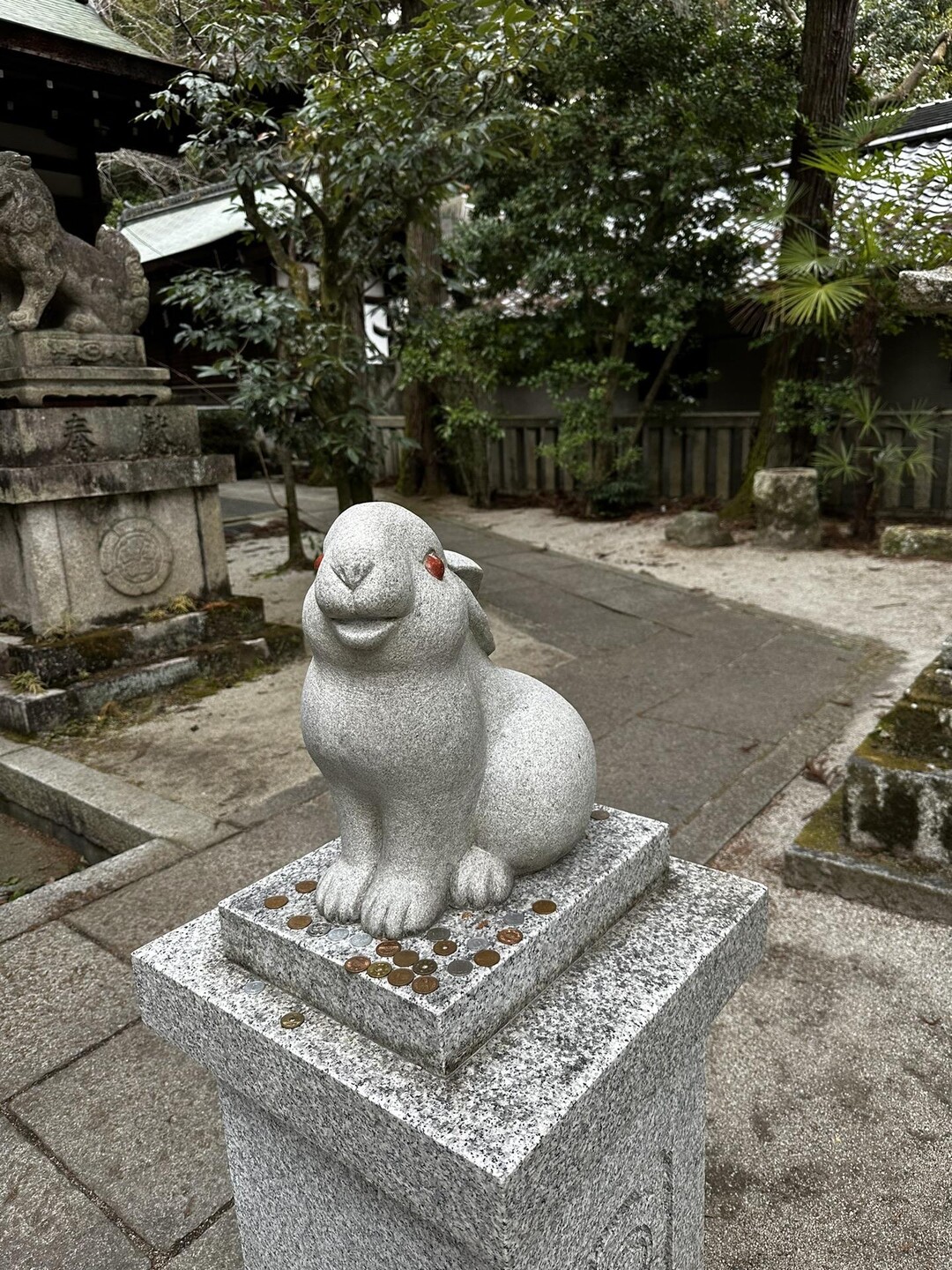 今日は岡崎通りで仕事でしたので あまりの... / KOUJI-hiraさんのモーメント | YAMAP / ヤマップ