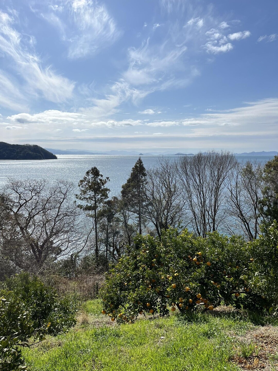 GGR-solo-24h / リン駒八さんの上蒲刈島の活動データ | YAMAP / ヤマップ