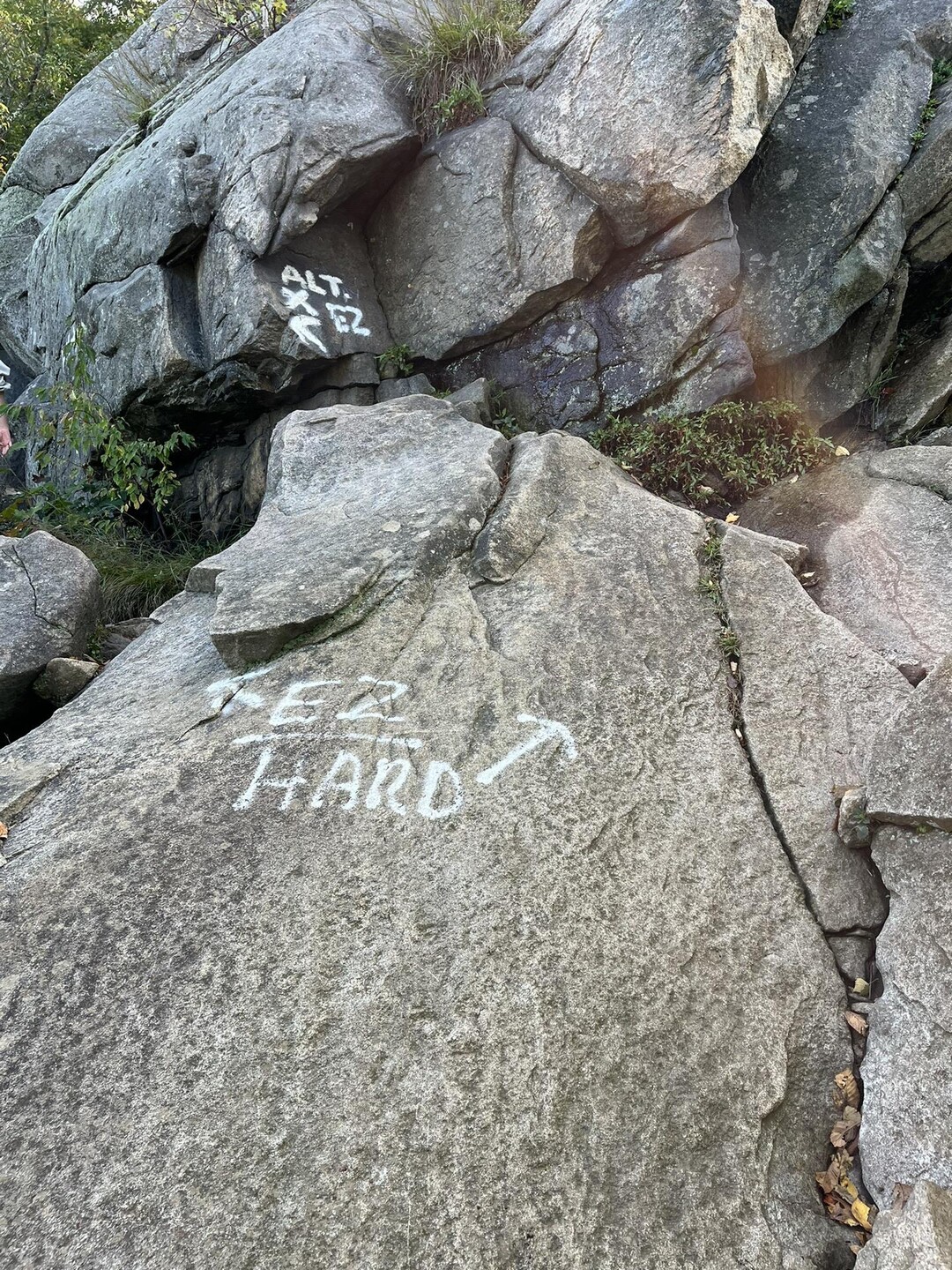 Break Neck Ridge - Beacon Fire Tower / Joeさんのウォーキングの活動データ | YAMAP / ヤマップ