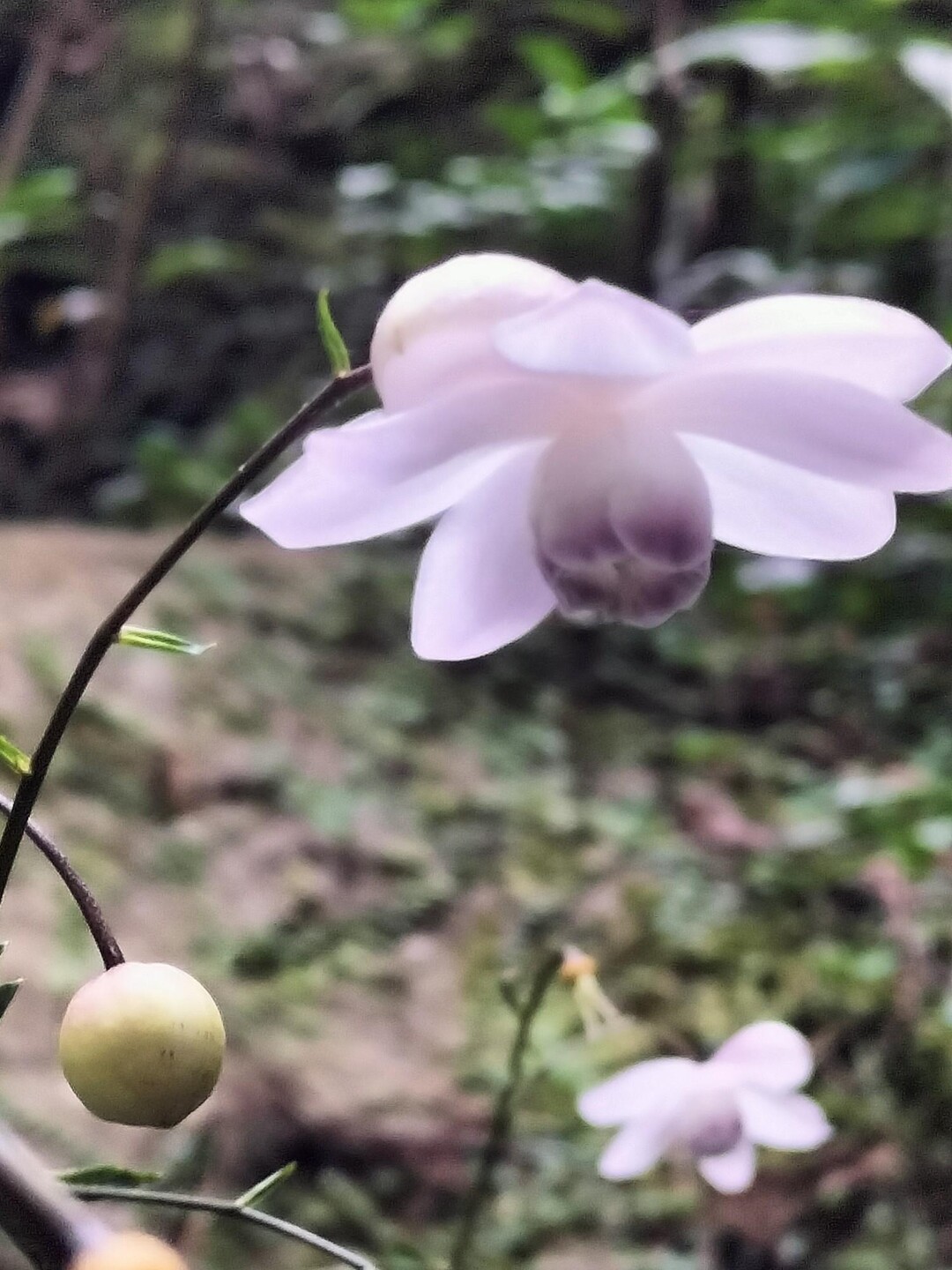 chi-kのページ | YAMAP / ヤマップ