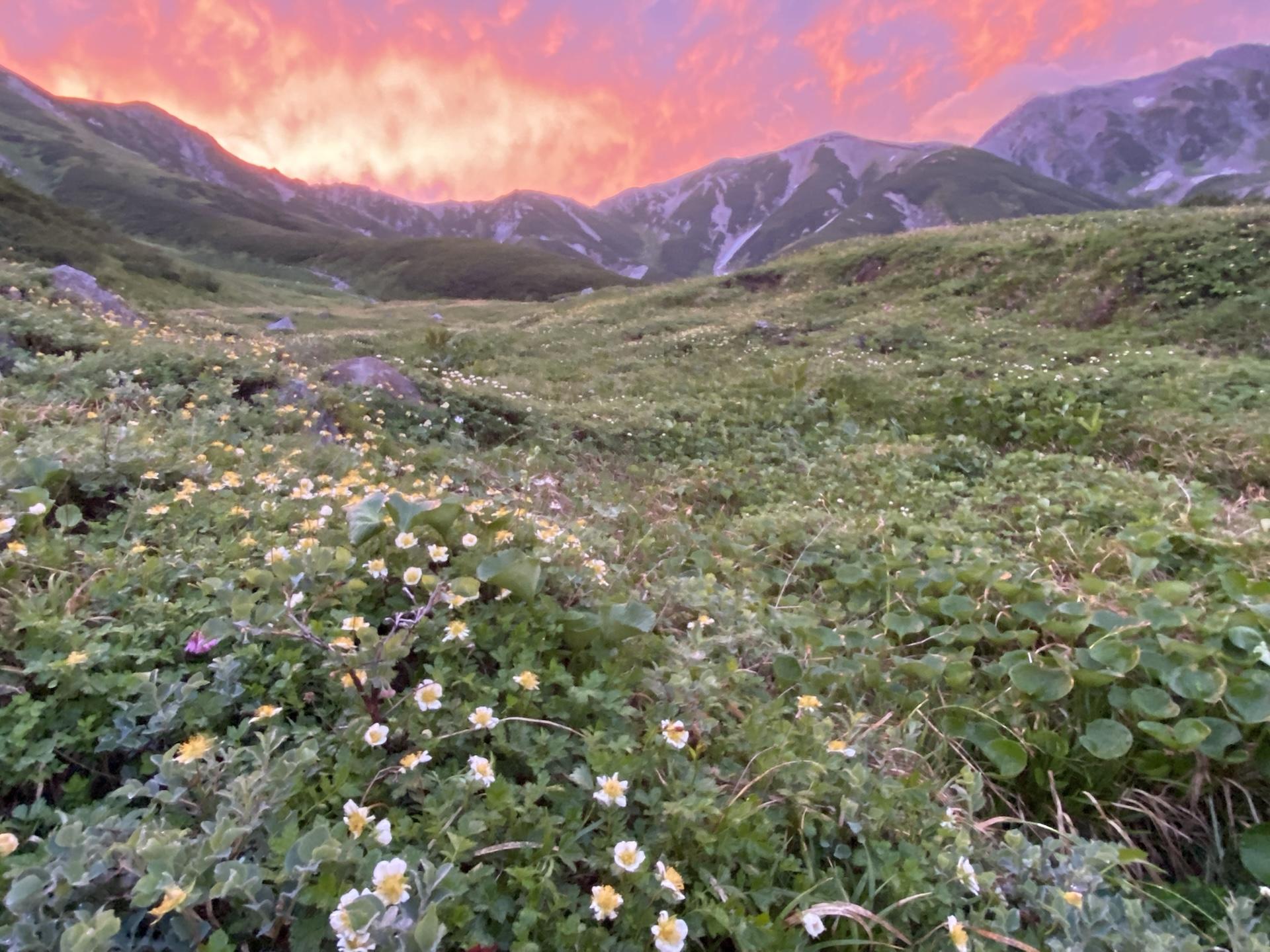 大日岳縦走🌀 / miuさんの立山・雄山・浄土山の活動データ | YAMAP / ヤマップ