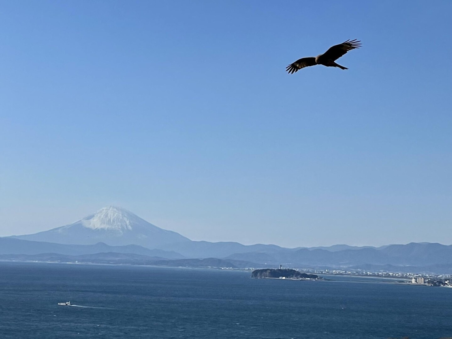 東逗子駅から逗子駅まで富士山と江ノ島を満喫ハイク / WKさんの三浦アルプス・二子山・仙元山の活動データ | YAMAP / ヤマップ