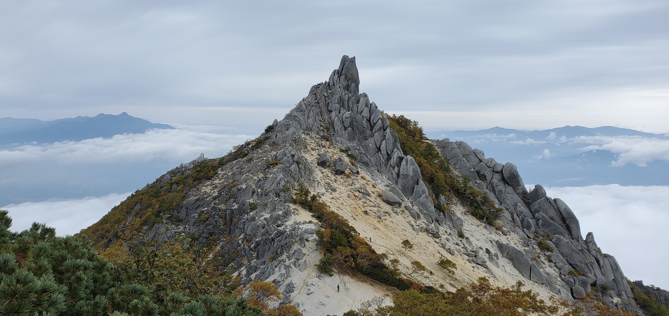 鳳凰三山 / IKM'Sさんの鳳凰山・地蔵岳・観音岳・薬師岳の活動データ | YAMAP / ヤマップ