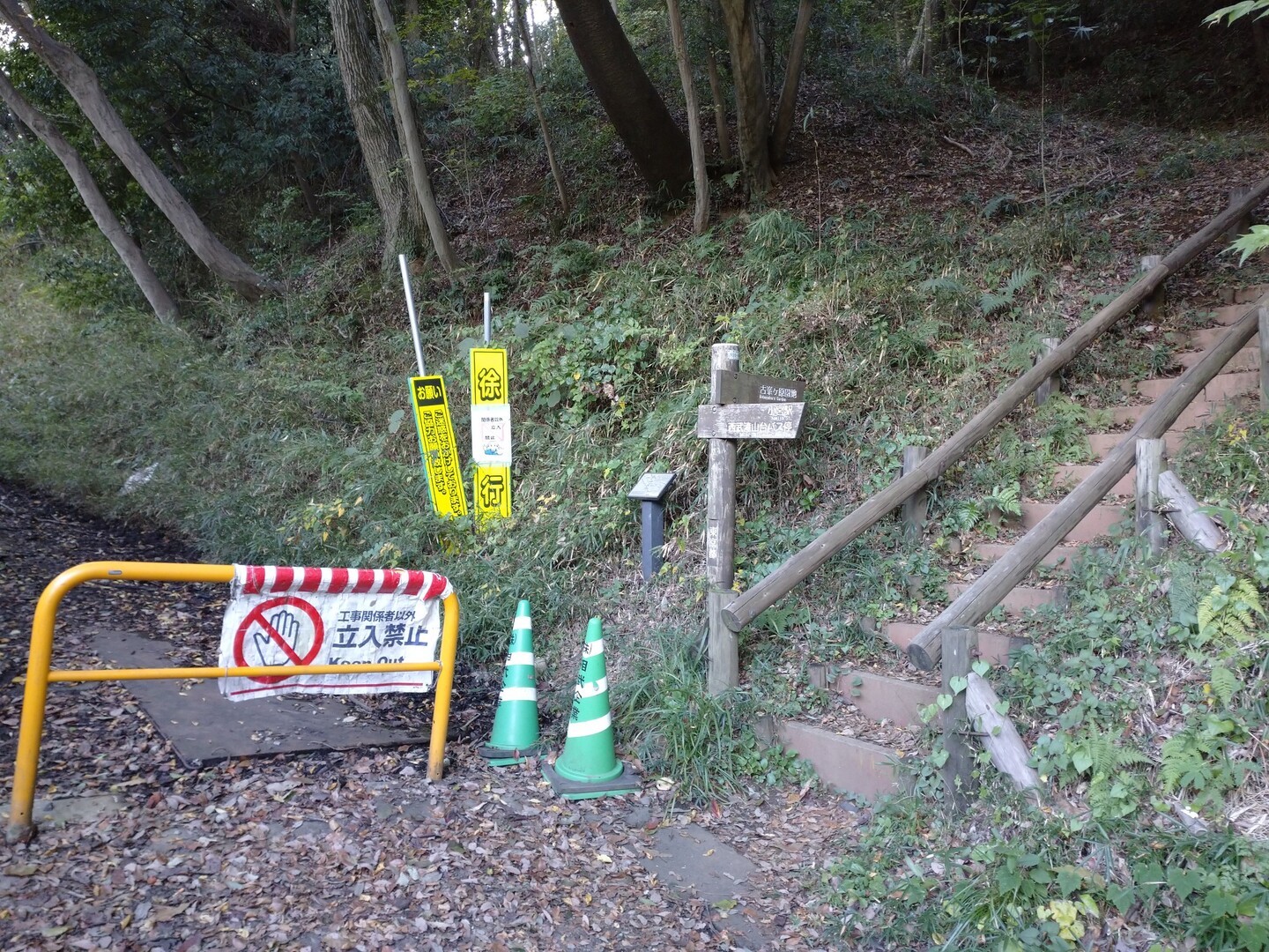 滝山丘陵をトレラン(bar ・ひよどり山・滝山丘陵最高点) / 八王子市の写真13枚目 / 階段を登ると、トレイルコースの始まり〜 | YAMAP / ヤマップ