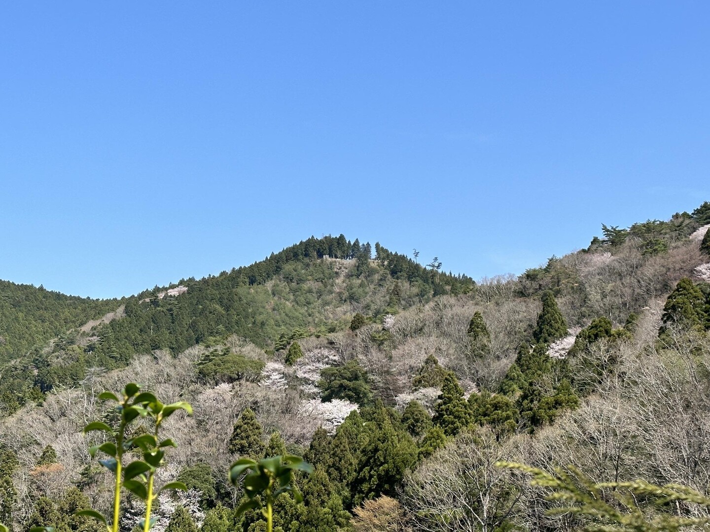 雨やまやま / sentiさんの本宮山・大日山・風頭山の活動データ | YAMAP / ヤマップ