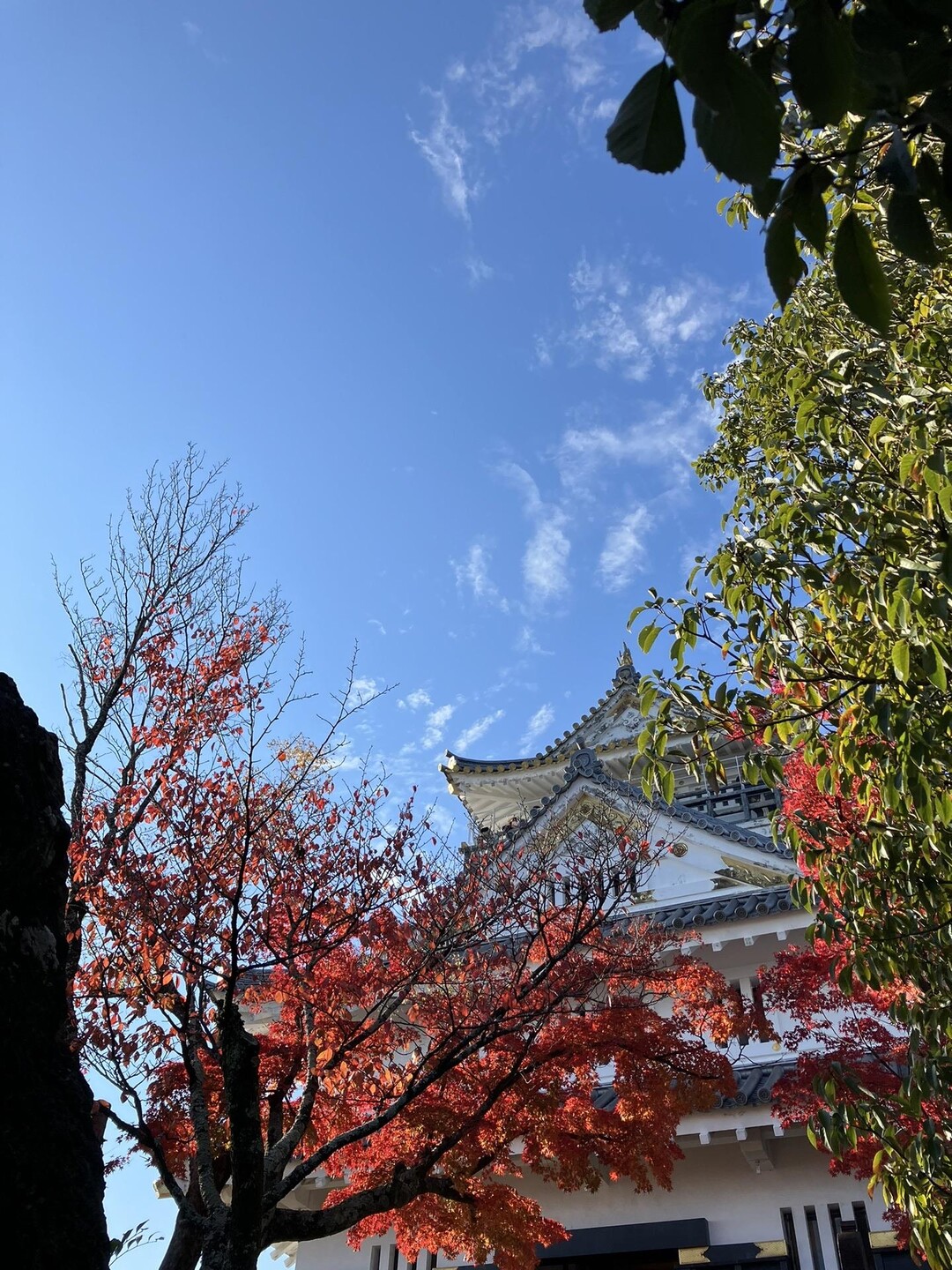 金華山 / HMさんの金華山・洞山・舟伏山の活動データ | YAMAP / ヤマップ