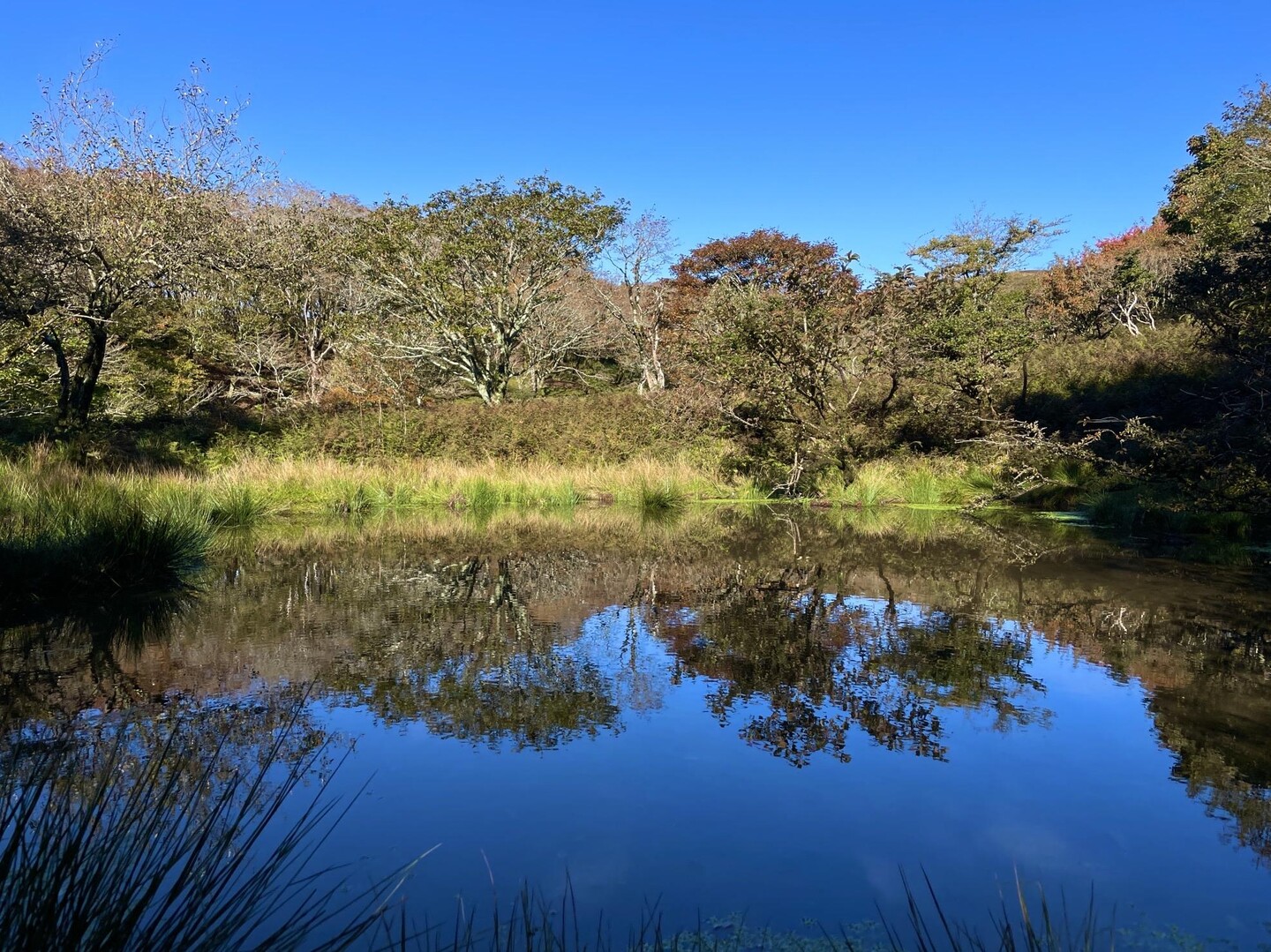シマリスLOVE ️に警鐘（御池岳） / あずきさんの天狗堂の活動データ | YAMAP / ヤマップ