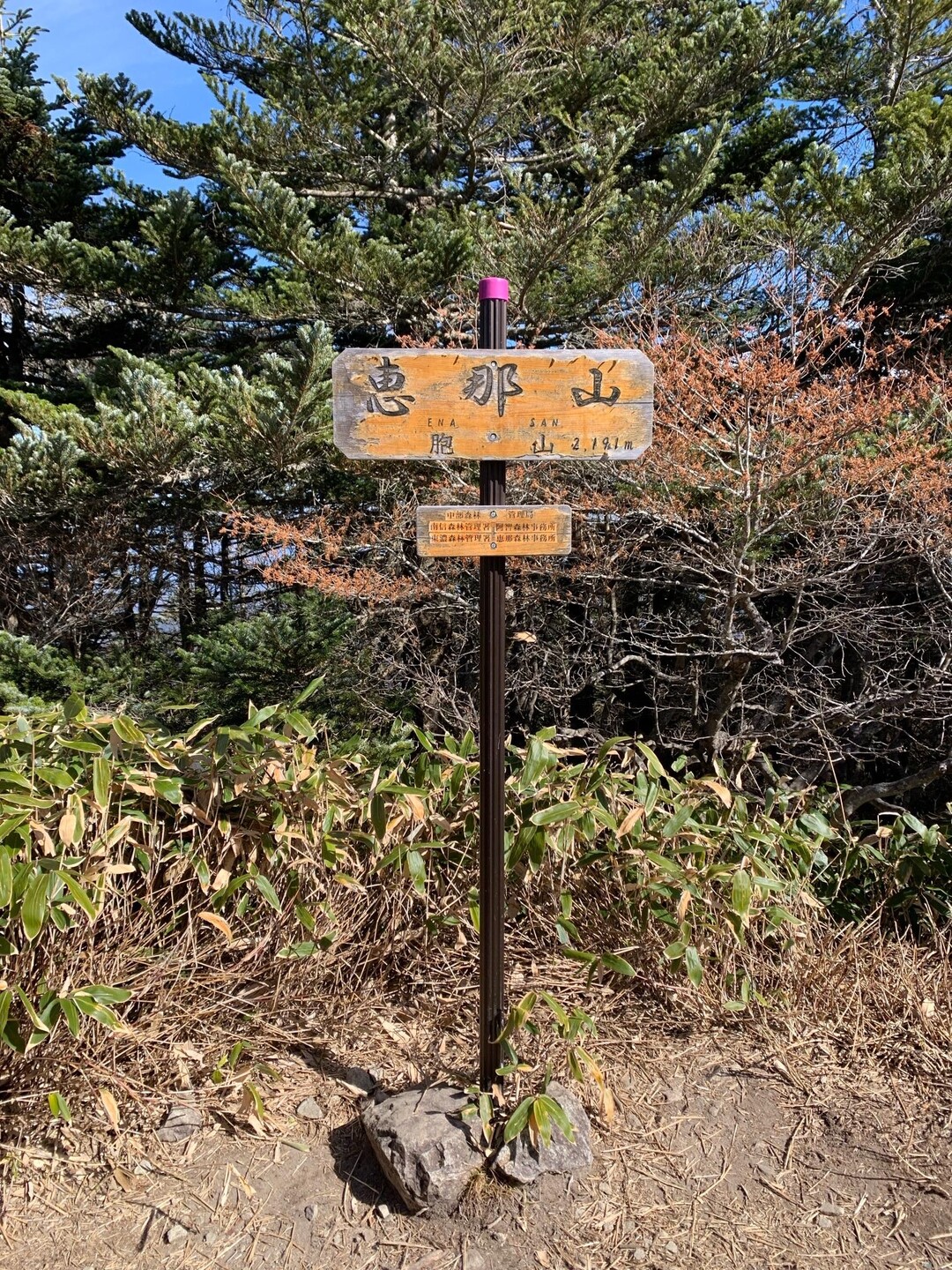 千両山・大判山・恵那山 / marchinさんの恵那山・大判山・神坂山の活動データ | YAMAP / ヤマップ