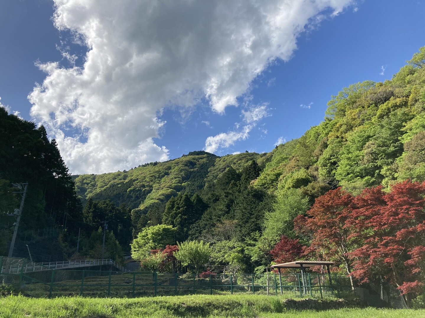 日向山・鐘ヶ嶽 / Ok-836さんの大山の活動データ | YAMAP / ヤマップ