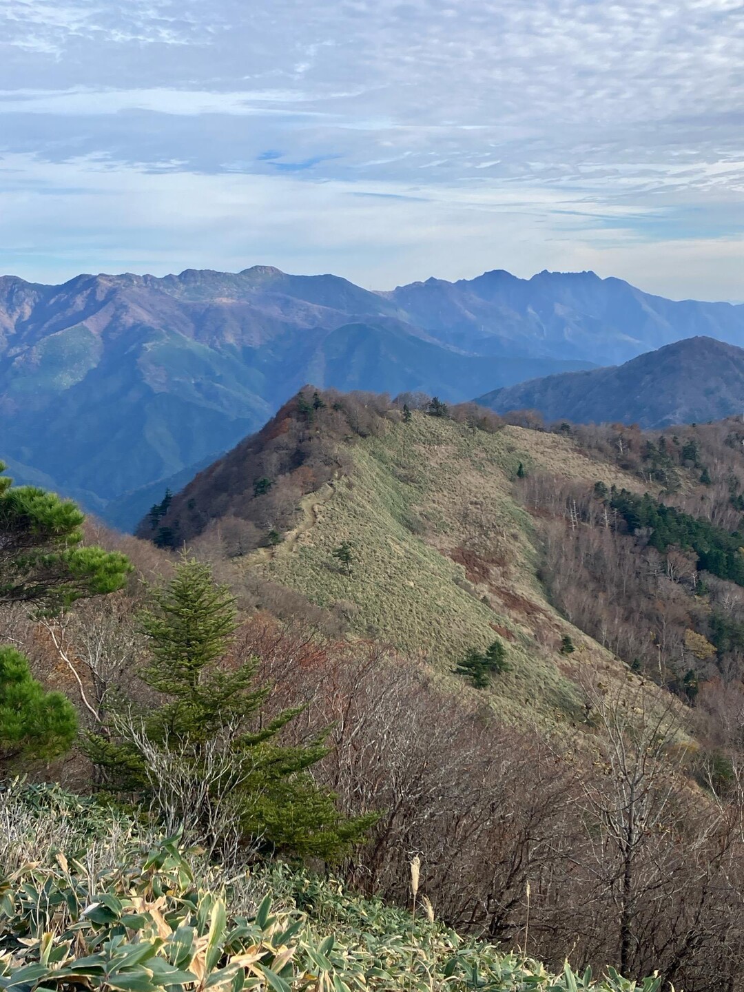 秋風爽やか🍁平家平・冠山 / totoさんの笹ヶ峰・寒風山・平家平の活動データ | YAMAP / ヤマップ