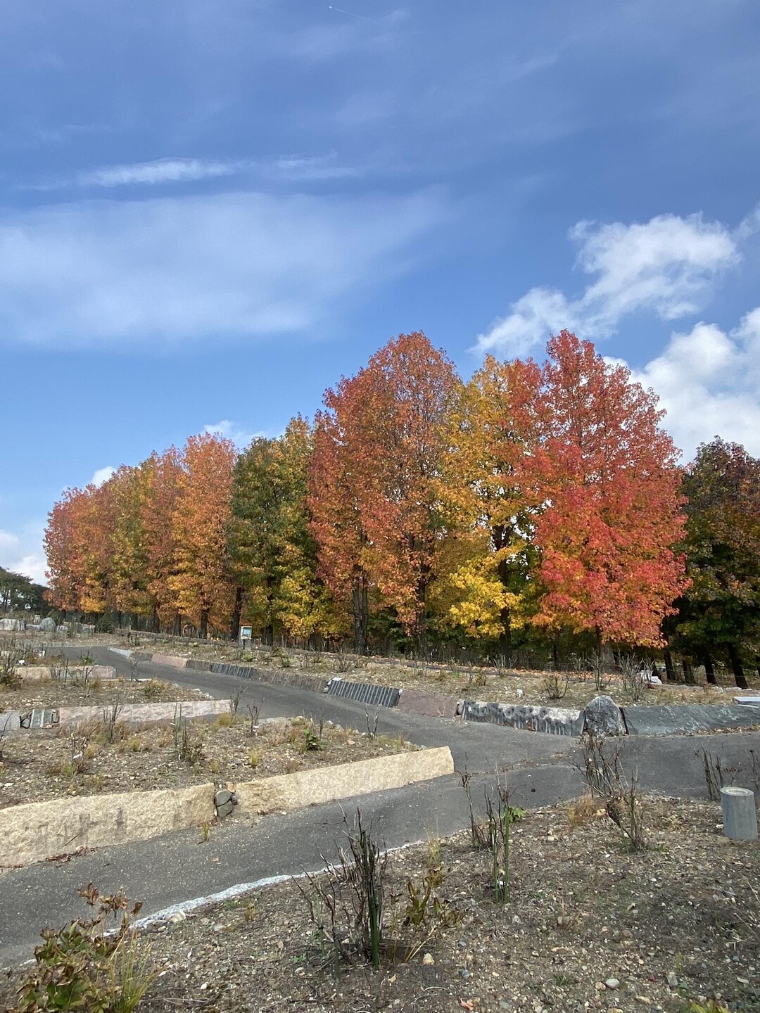 リール https://www.ins... / マイコージョーダンさんのモーメント | YAMAP / ヤマップ