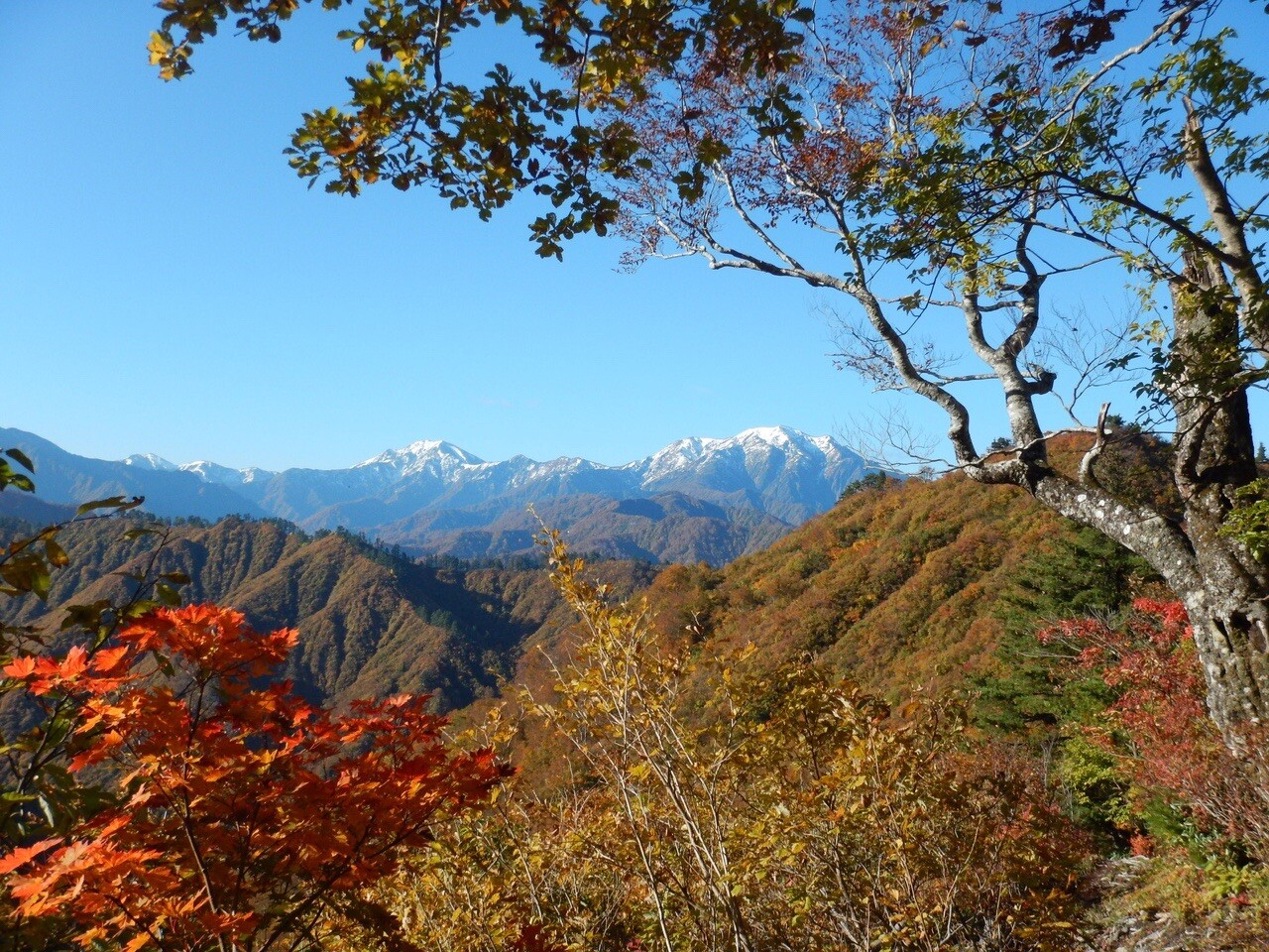 雪山シーズンに入る前に紅葉を堪能。 / mashaさんのモーメント | YAMAP / ヤマップ