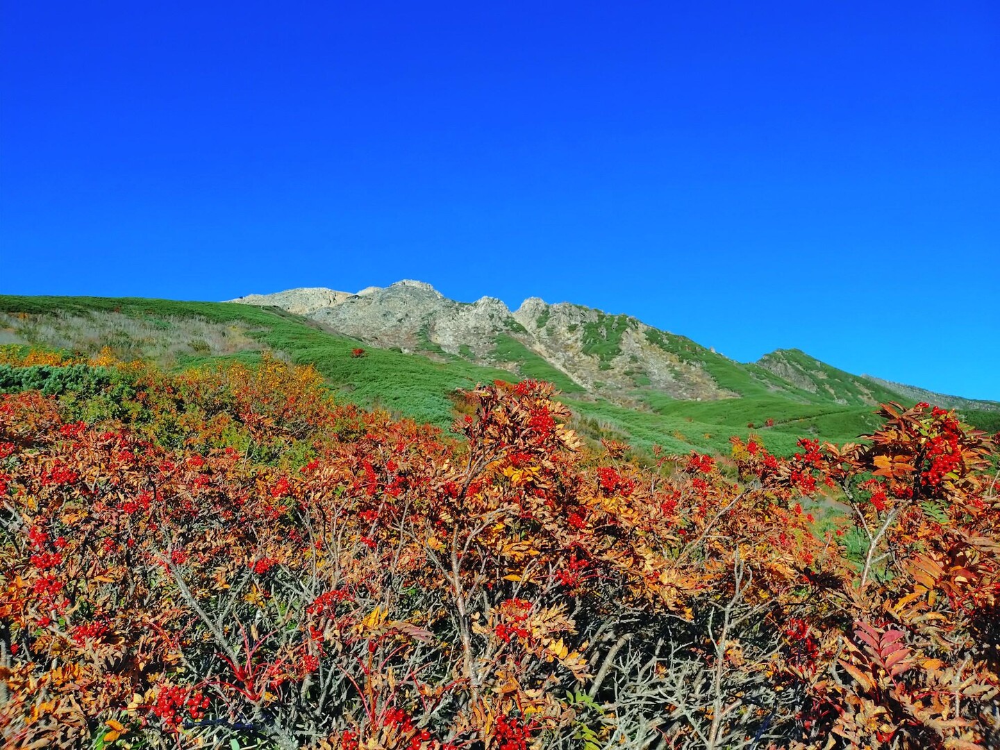 王滝頂上・御嶽山（剣ヶ峰）・摩利支天山・飛騨頂上・継子岳・継子Ⅱ峰 / ナカさんの御嶽山・継子岳・摩利支天山の活動データ | YAMAP / ヤマップ