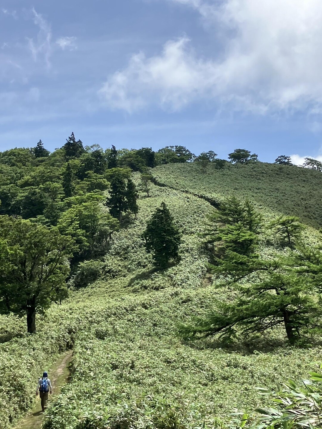 駒の尾山・鍋ヶ谷山・船木山・後山 / idasさんの後山・船木山・駒の尾山の活動データ | YAMAP / ヤマップ