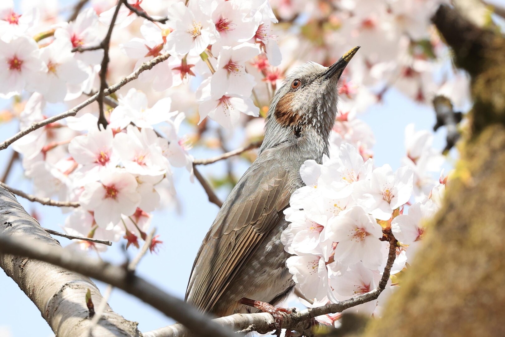 あきPのページ | YAMAP / ヤマップ