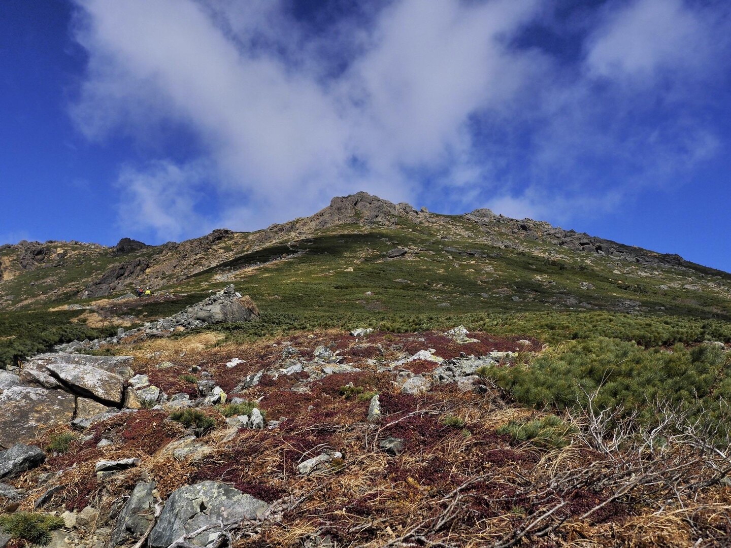 薬師岳・早池峰山 / konkonさんの早池峰山・薬師岳・鶏頭山の活動データ | YAMAP / ヤマップ