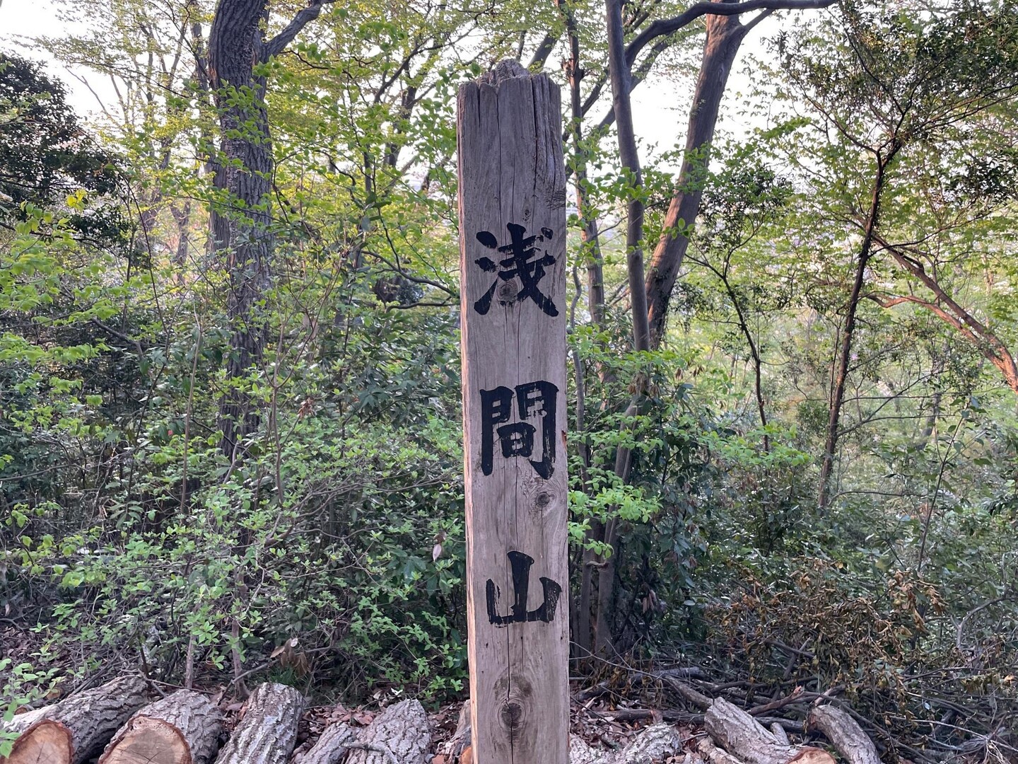 浅間山・小沢峰・ありがた山 (東京) / 島ちゃん(島.RC)🌈さんの川崎市の活動データ | YAMAP / ヤマップ