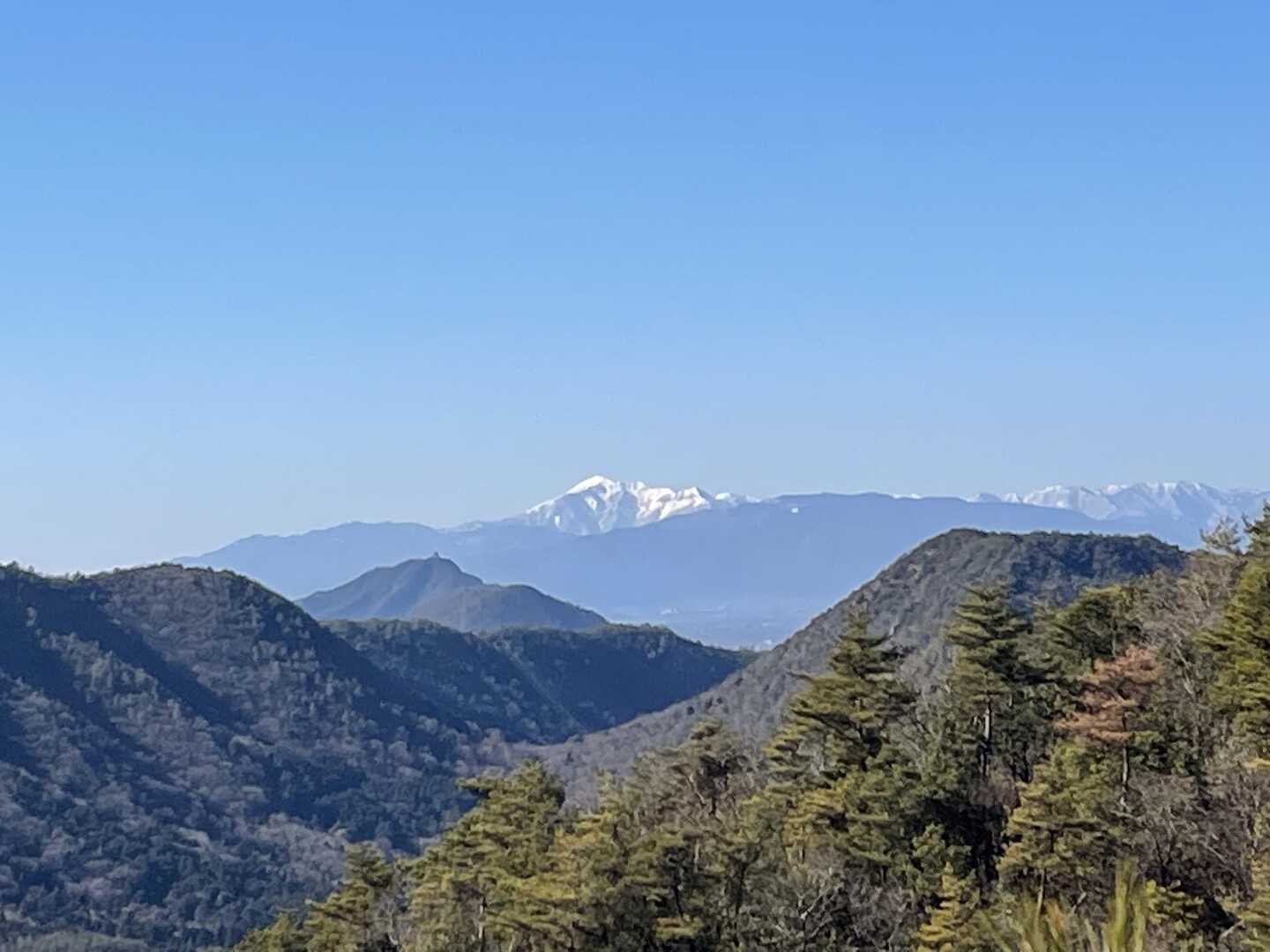 向山 向前山 / ha-saさんの各務原アルプス（関南アルプス）・八木三山の活動日記 | YAMAP / ヤマップ