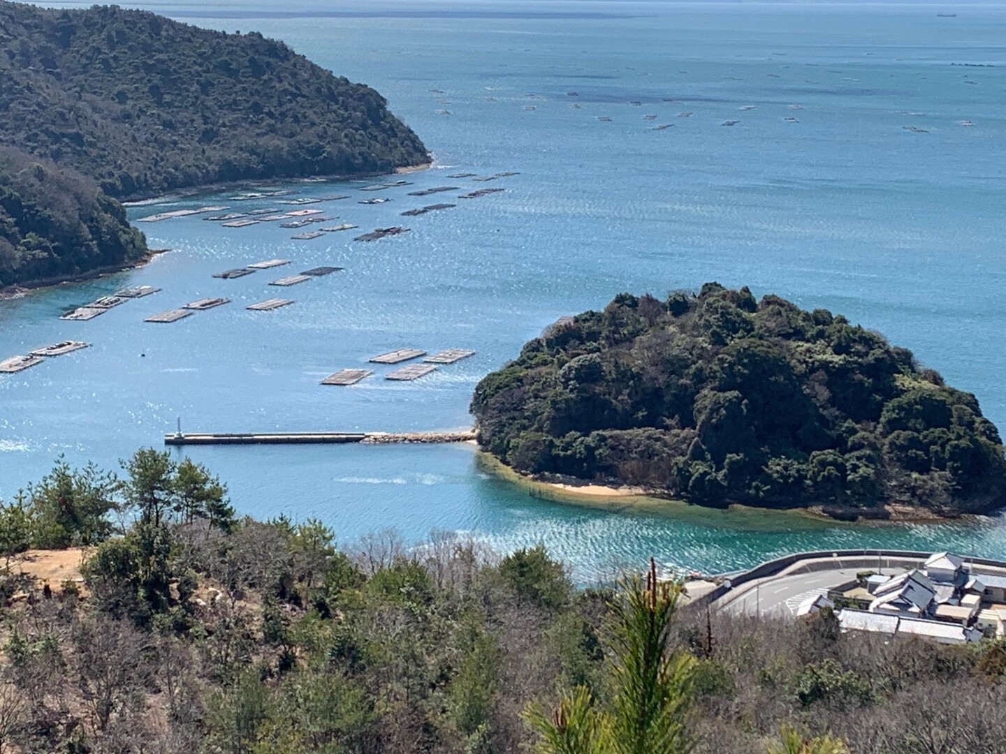 坂越 山と海とレトロな町並み、そして牡蠣🦪 / ORIEさんの雄鷹台山の活動データ | YAMAP / ヤマップ
