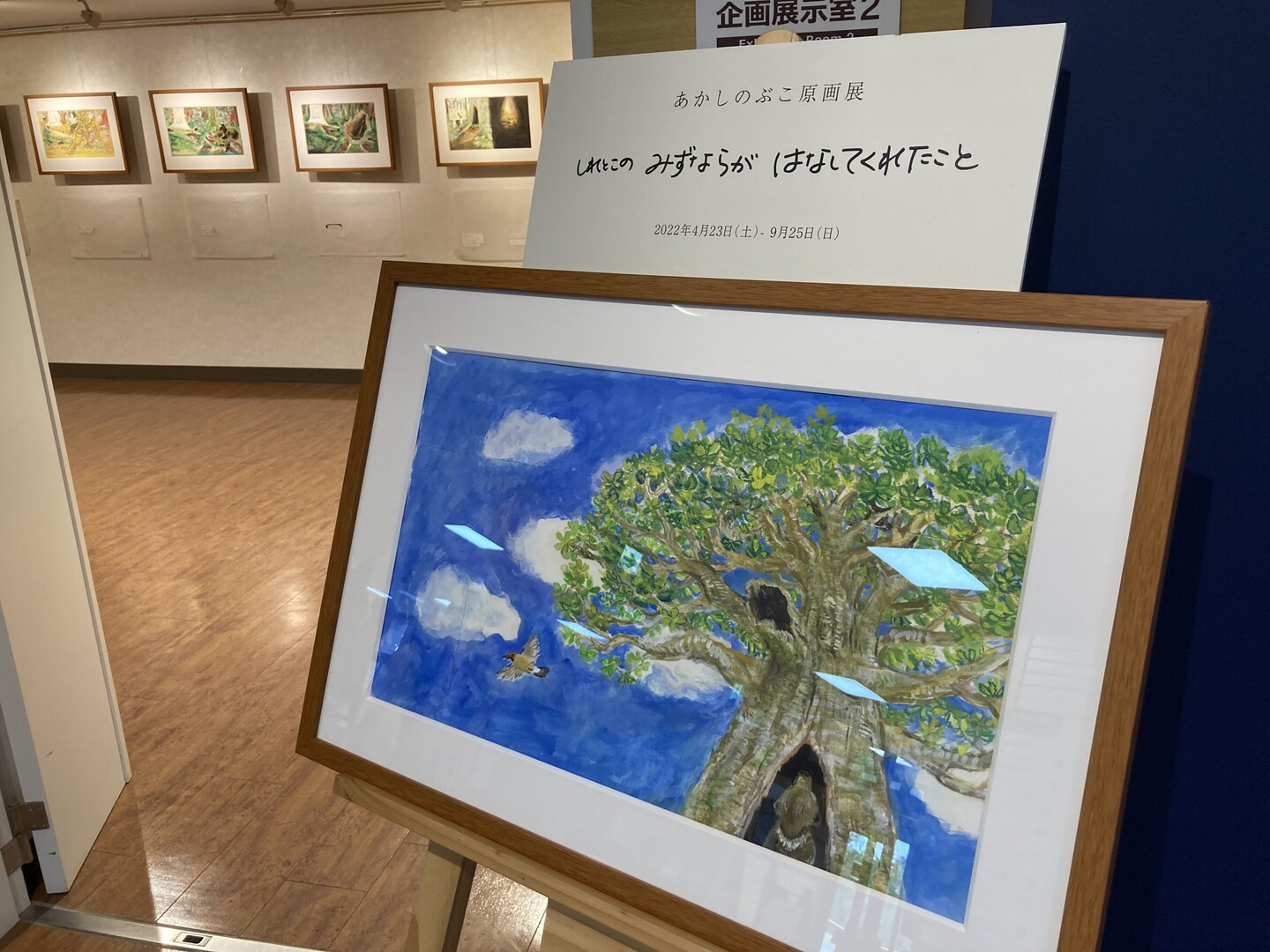 「しれとこの みずならが はなしてくれた... / しれとこ100平方メートル運動さんのモーメント | YAMAP / ヤマップ