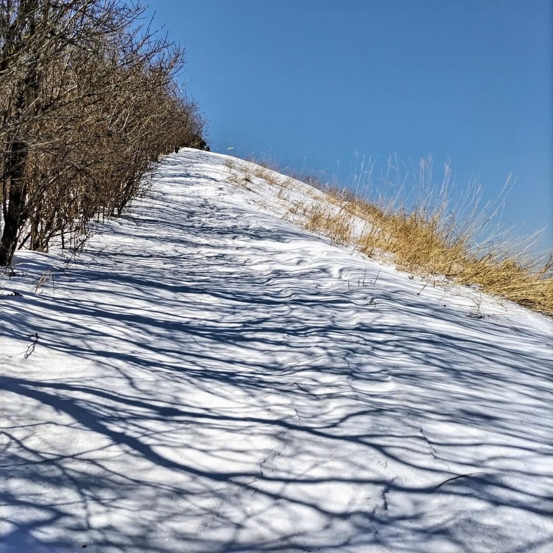雪原遊び 塩塚峰 / kamatyさんの塩塚峰の活動日記 | YAMAP / ヤマップ