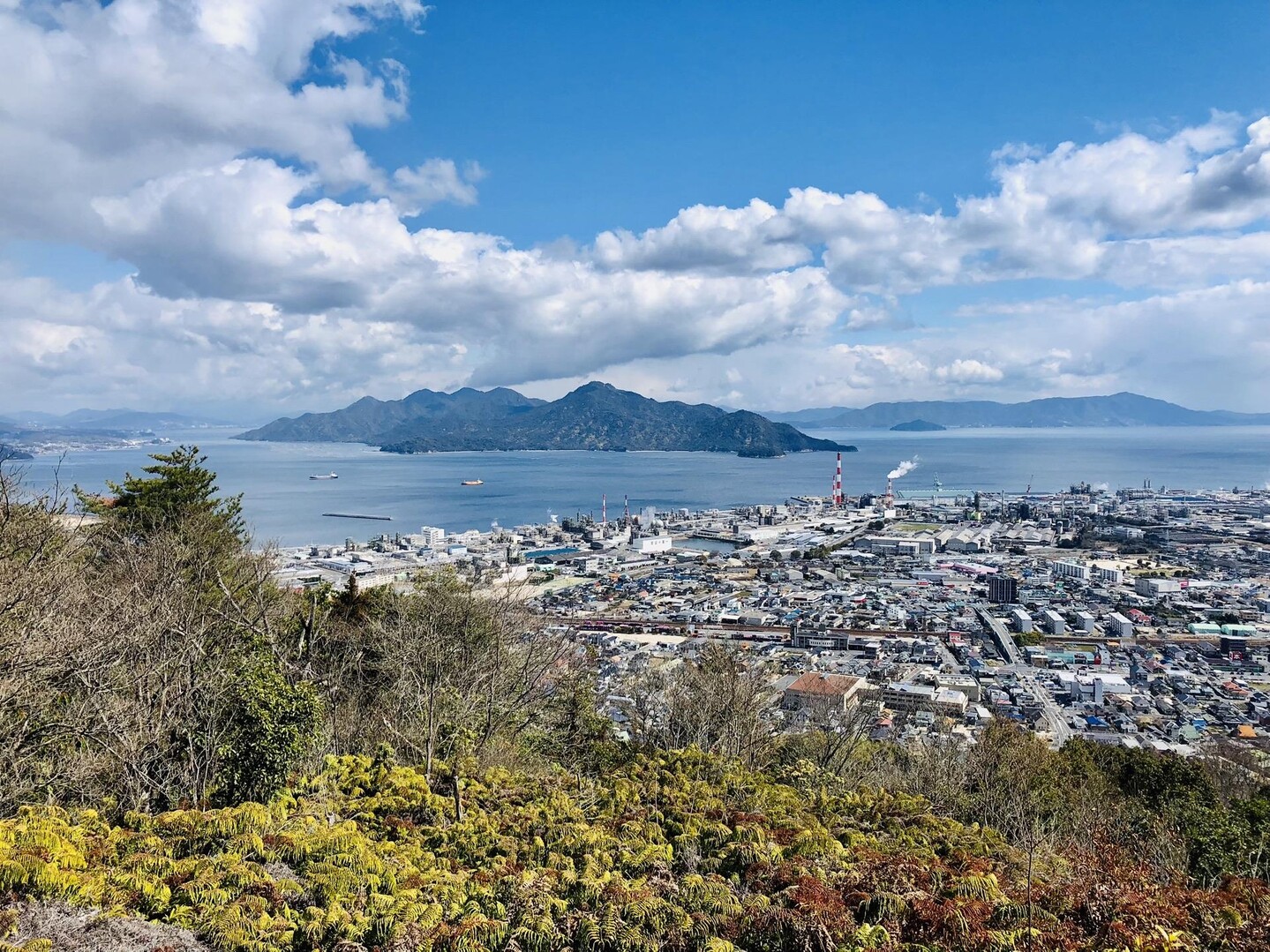 〇立戸山・〇大河原山 / Coo・kie（くぅ🗝️）さんの行者山・傘山・忠四郎山の活動データ | YAMAP / ヤマップ