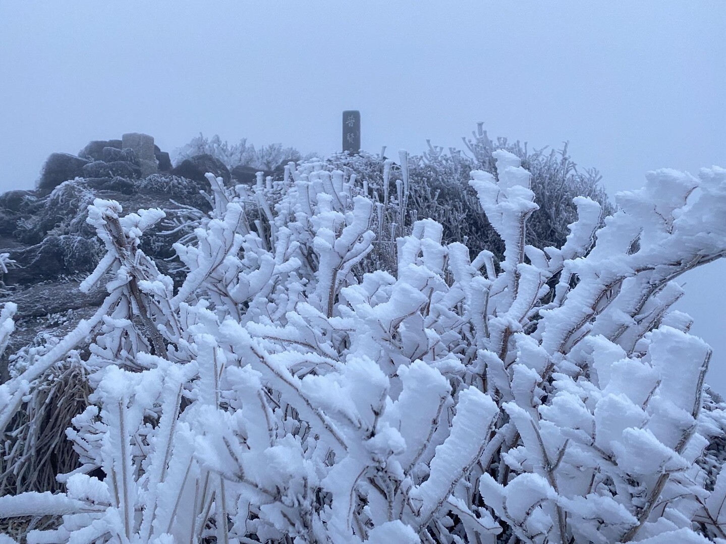 霧氷まつりの普賢岳 ️ / SADAさんの雲仙岳・普賢岳・絹笠山の活動データ | YAMAP / ヤマップ