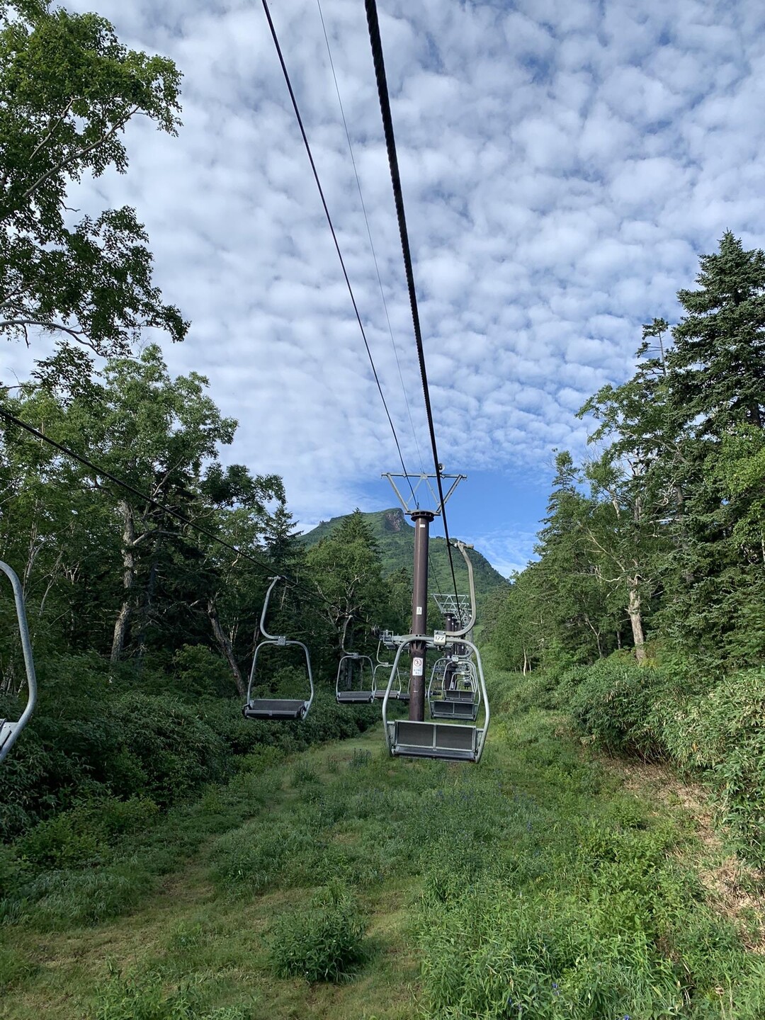 黒岳ぐるっとな / emiさんの大雪山系・旭岳・トムラウシの活動データ | YAMAP / ヤマップ