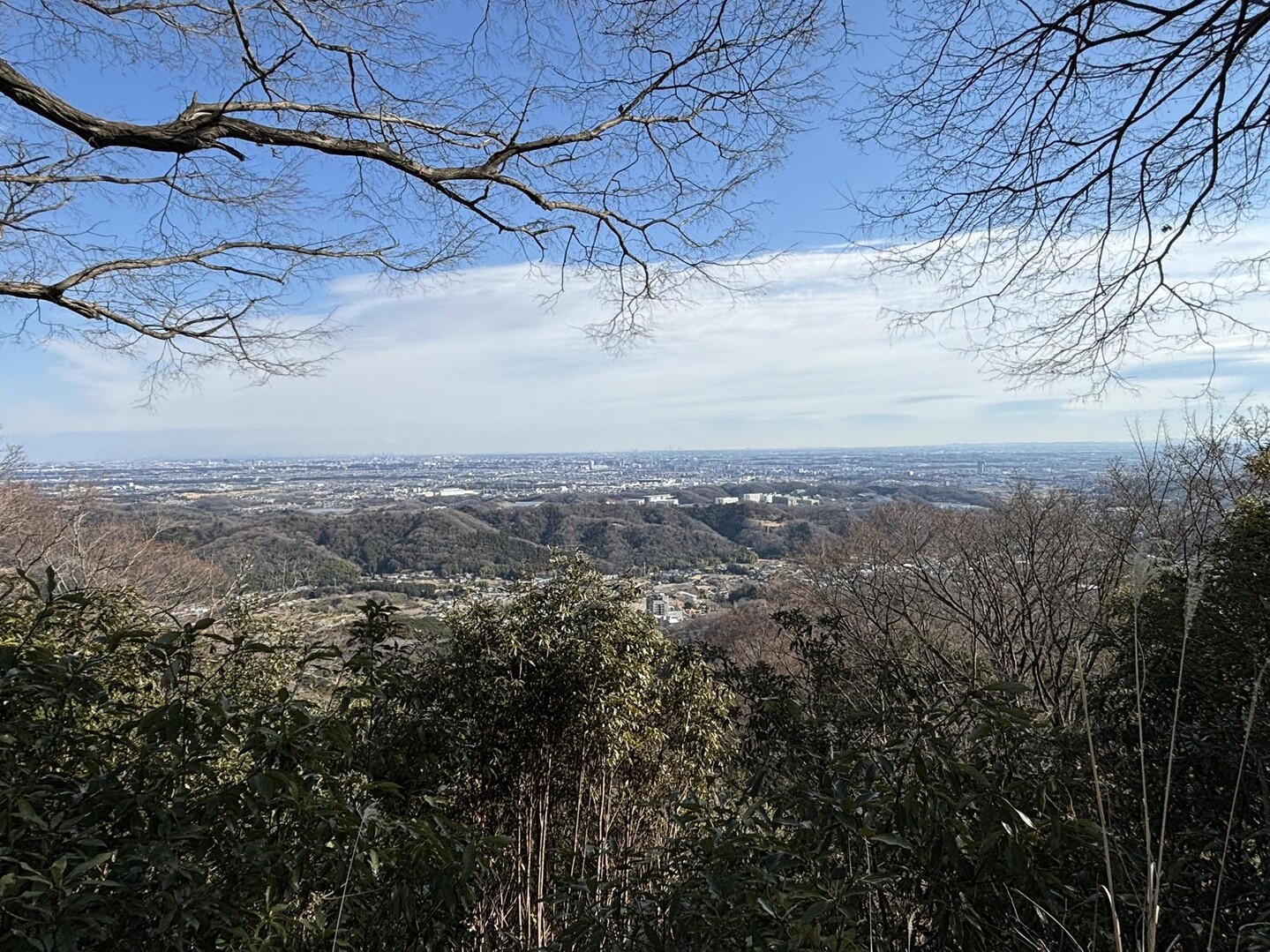 広沢寺前P〜鐘ケ嶽〜見城山 周回 / zyさんの大山の活動日記 | YAMAP / ヤマップ