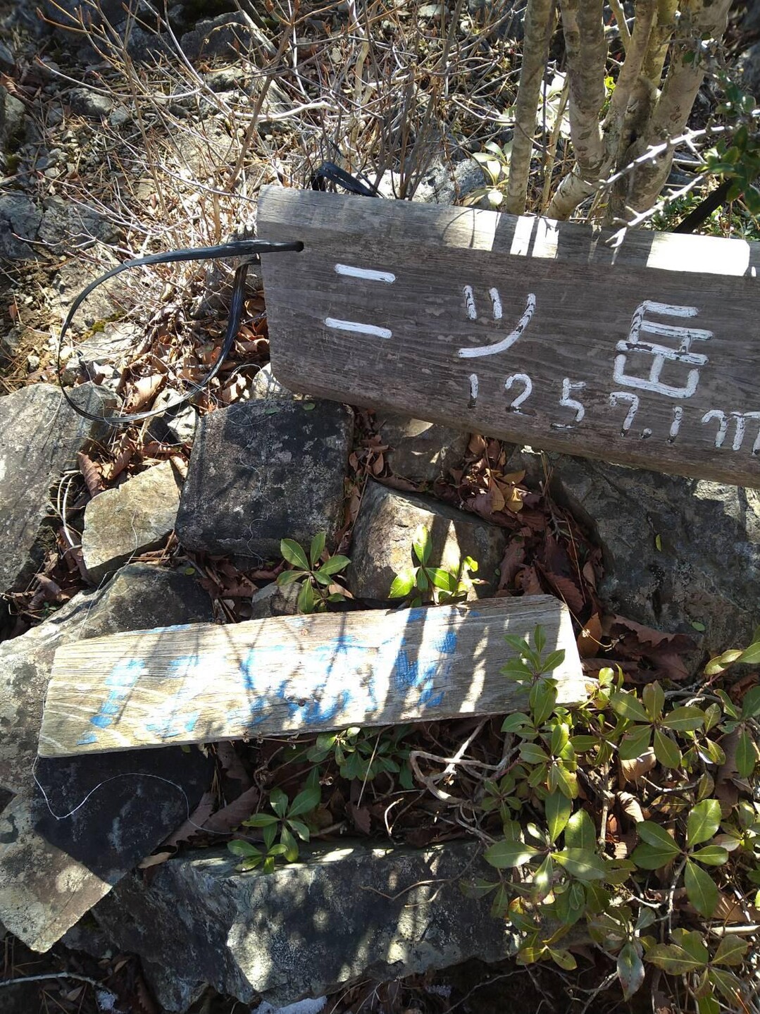 二つ岳・南峰 R5.12.29 / ミーさんさんの二つ岳の活動データ | YAMAP / ヤマップ