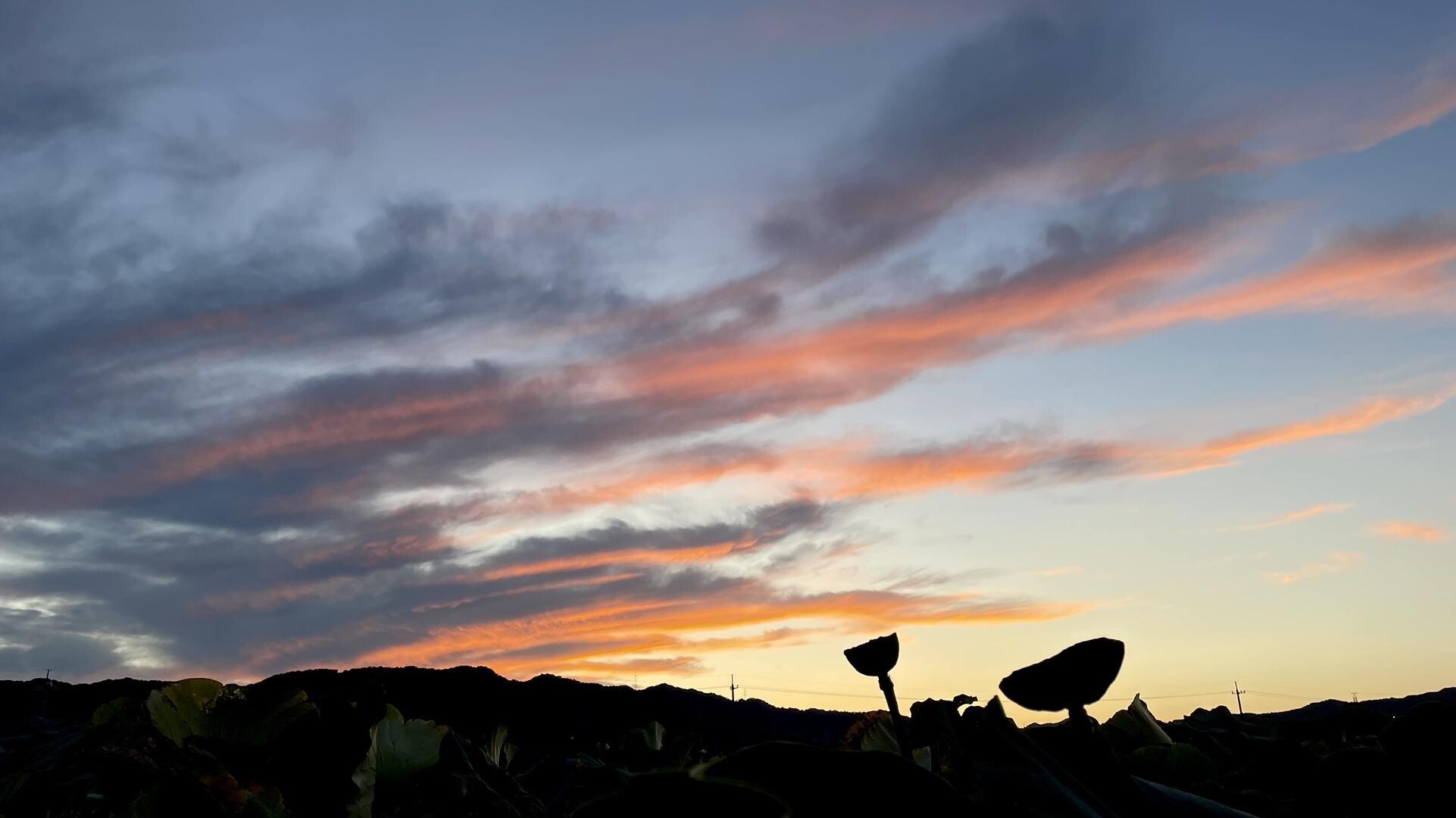 夕焼け空😆雲が良いのでこれはいけると思... / GONKEさんのモーメント | YAMAP / ヤマップ