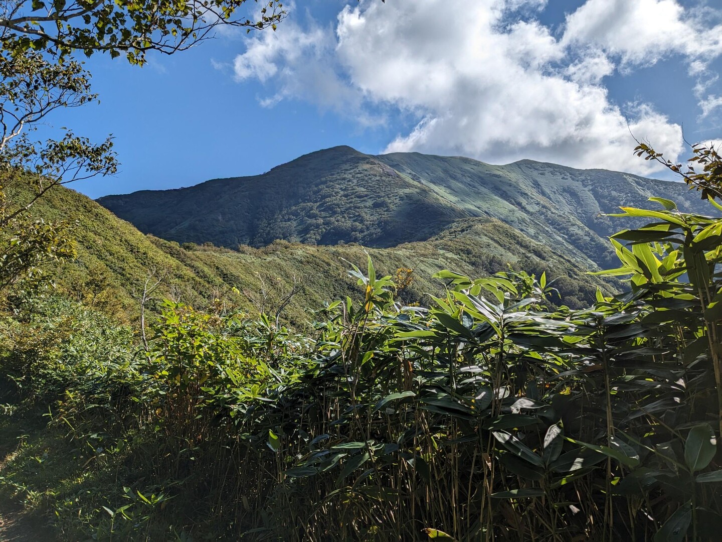 松手山・平標山 / mdk.knzさんの仙ノ倉山・平標山・大源太山の活動データ | YAMAP / ヤマップ