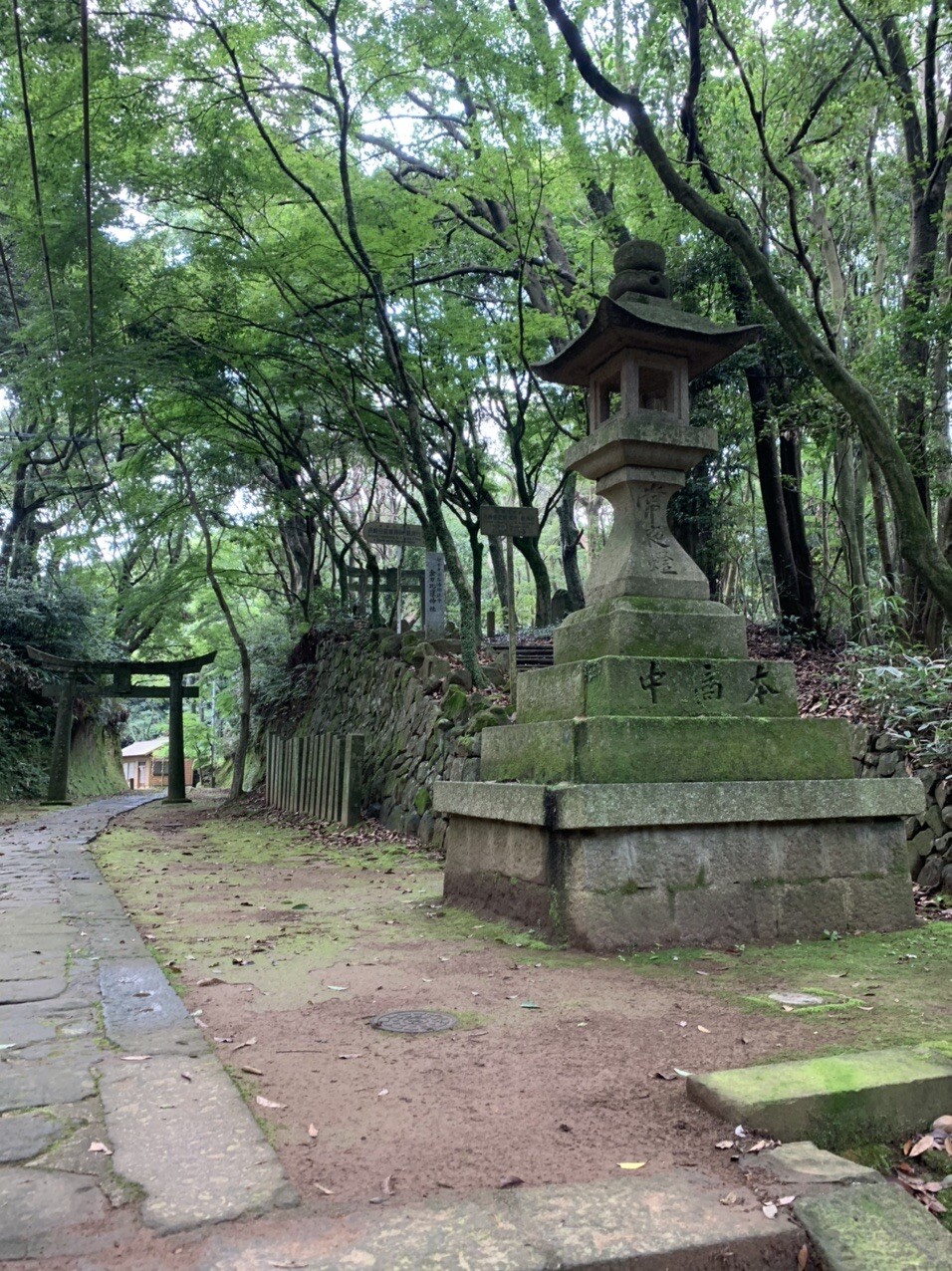 金比羅山からの岩屋山 / ko-jiさんの岩屋山・舞岳の活動データ | YAMAP / ヤマップ