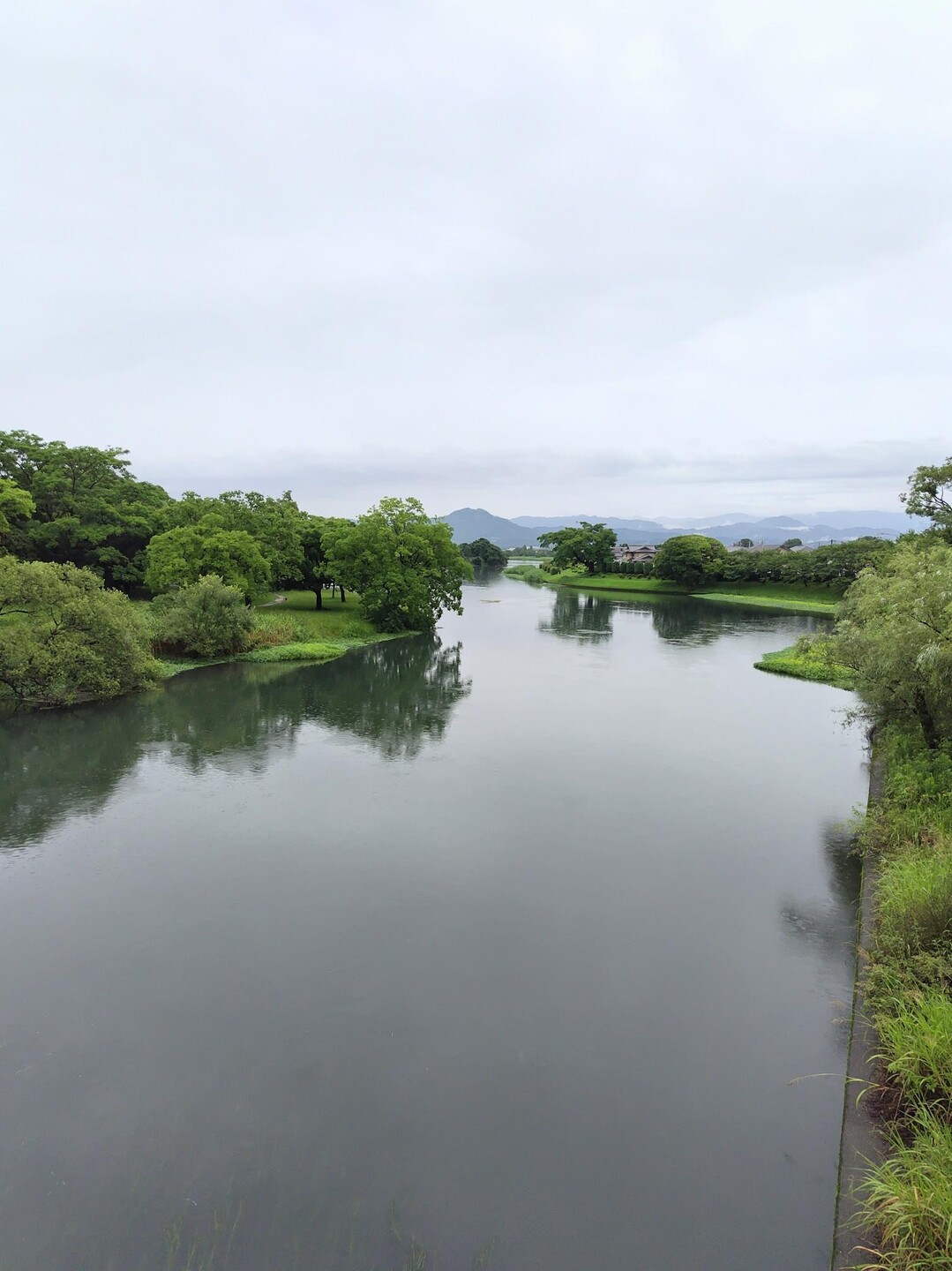 🌿雨の日の下江津湖一周ウォーク🌿🌧 R6.6.27 / かわとんぼさんの熊本市（中央エリア・北エリア）の活動データ | YAMAP / ヤマップ