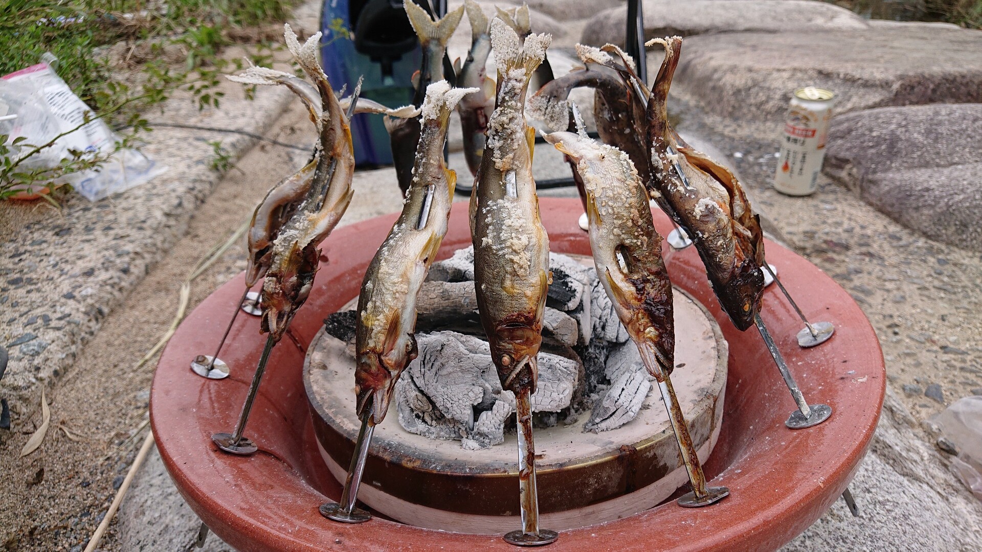 アユ、頭からかぶりつき / 咲くsakuさんのモーメント | YAMAP / ヤマップ