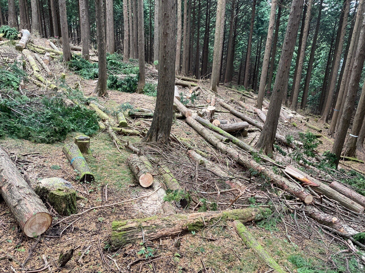 tenboさんの投稿したフィールドメモ | YAMAP / ヤマップ