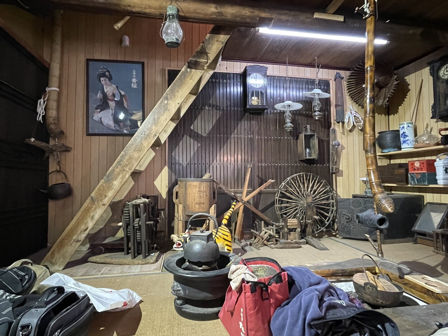 志々島⛩ 昭和と大楠 編 朝から船 ... / MK2さんのモーメント | YAMAP / ヤマップ