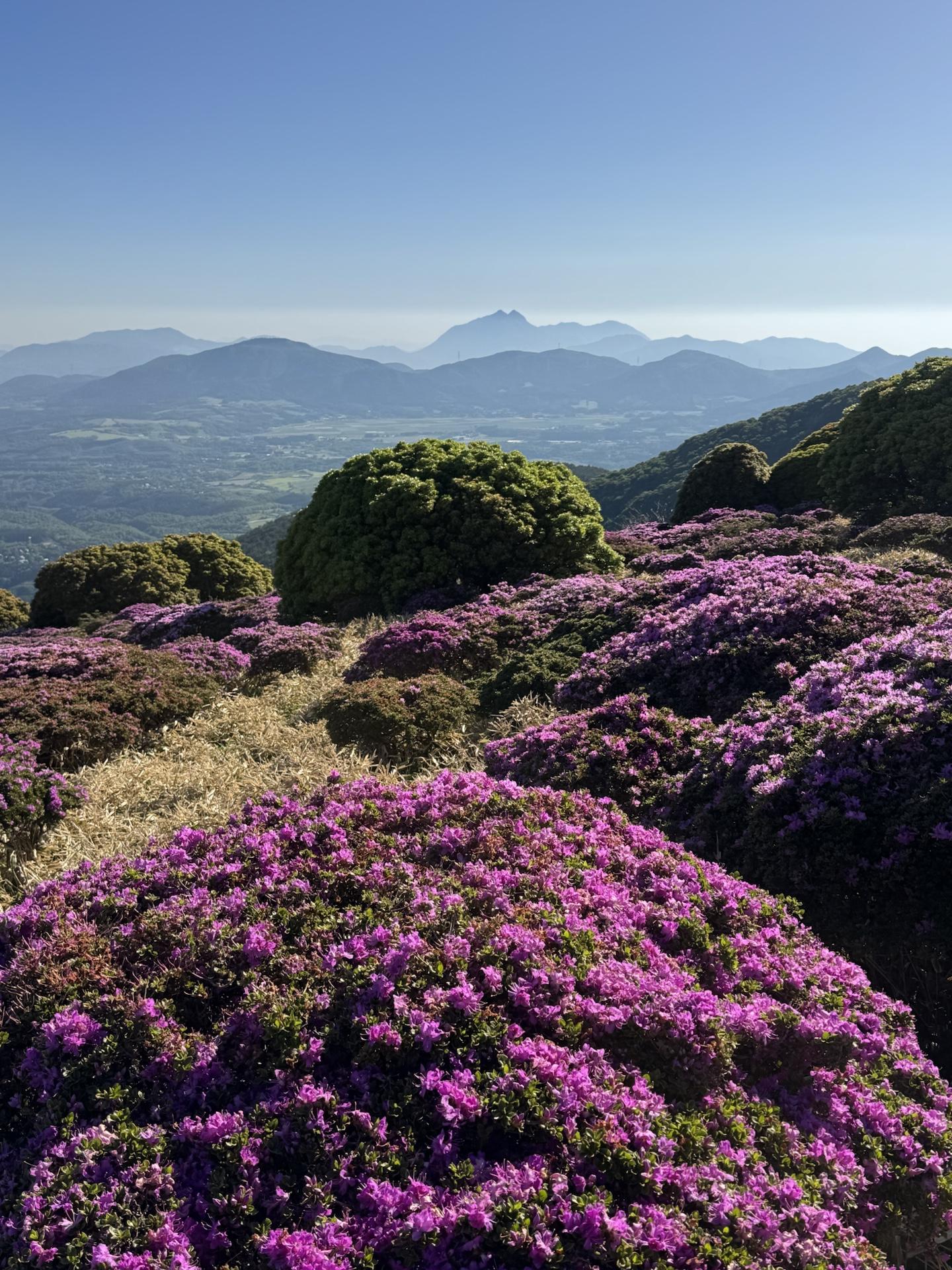 黒岩山・大崩ノ辻・上泉水山・泉水山 / kurominaさんの九重山（久住山）・大船山・星生山の活動データ | YAMAP / ヤマップ