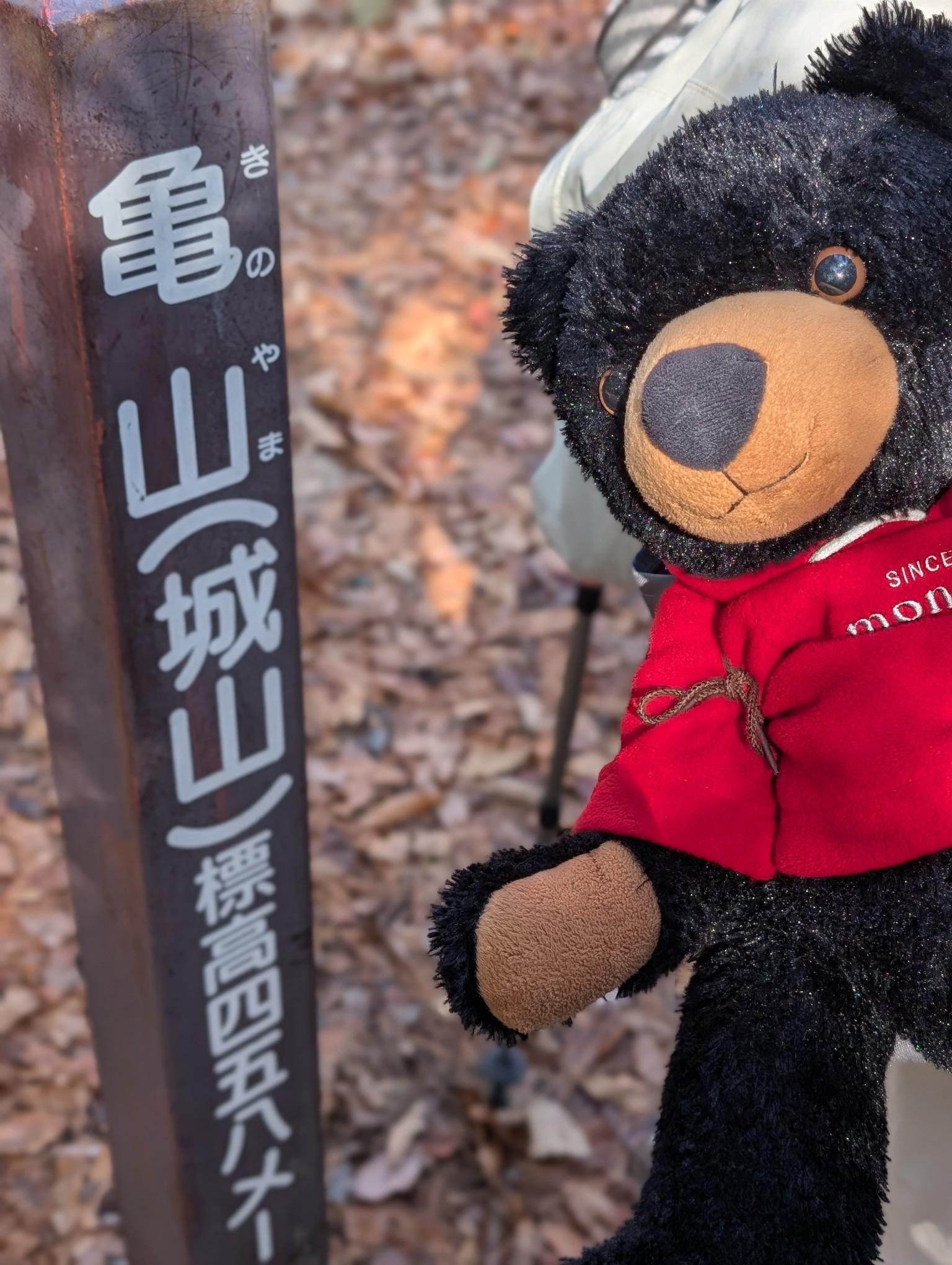 亀山 / mioさんの亀山・鶏籠山・的場山の活動データ | YAMAP / ヤマップ