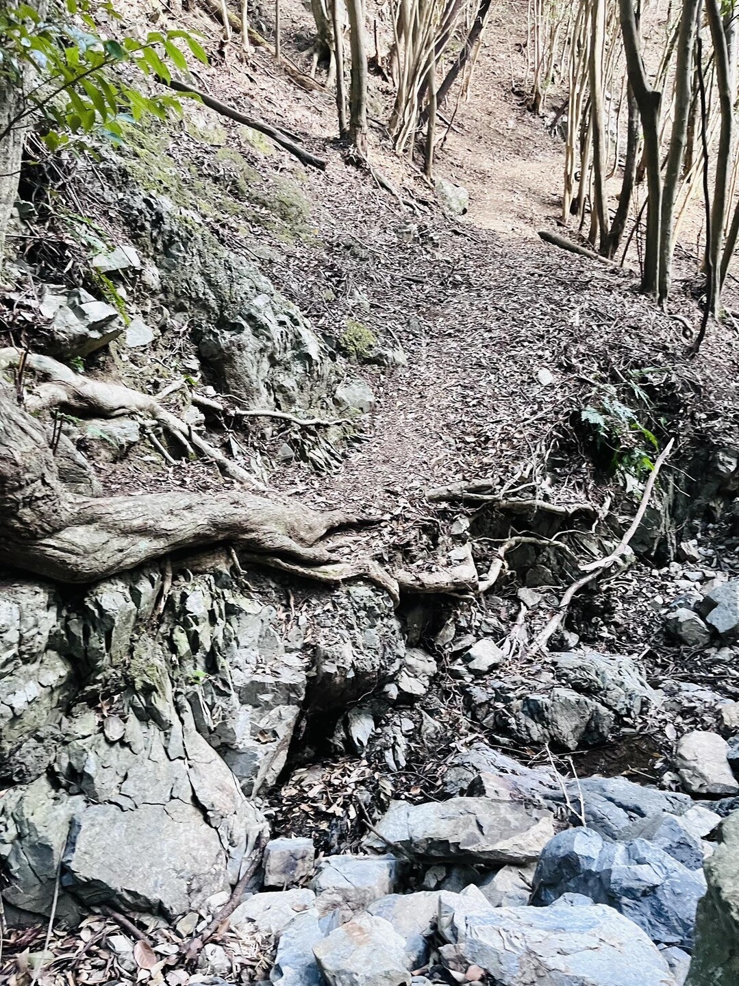 kcoさんの投稿したフィールドメモ | YAMAP / ヤマップ