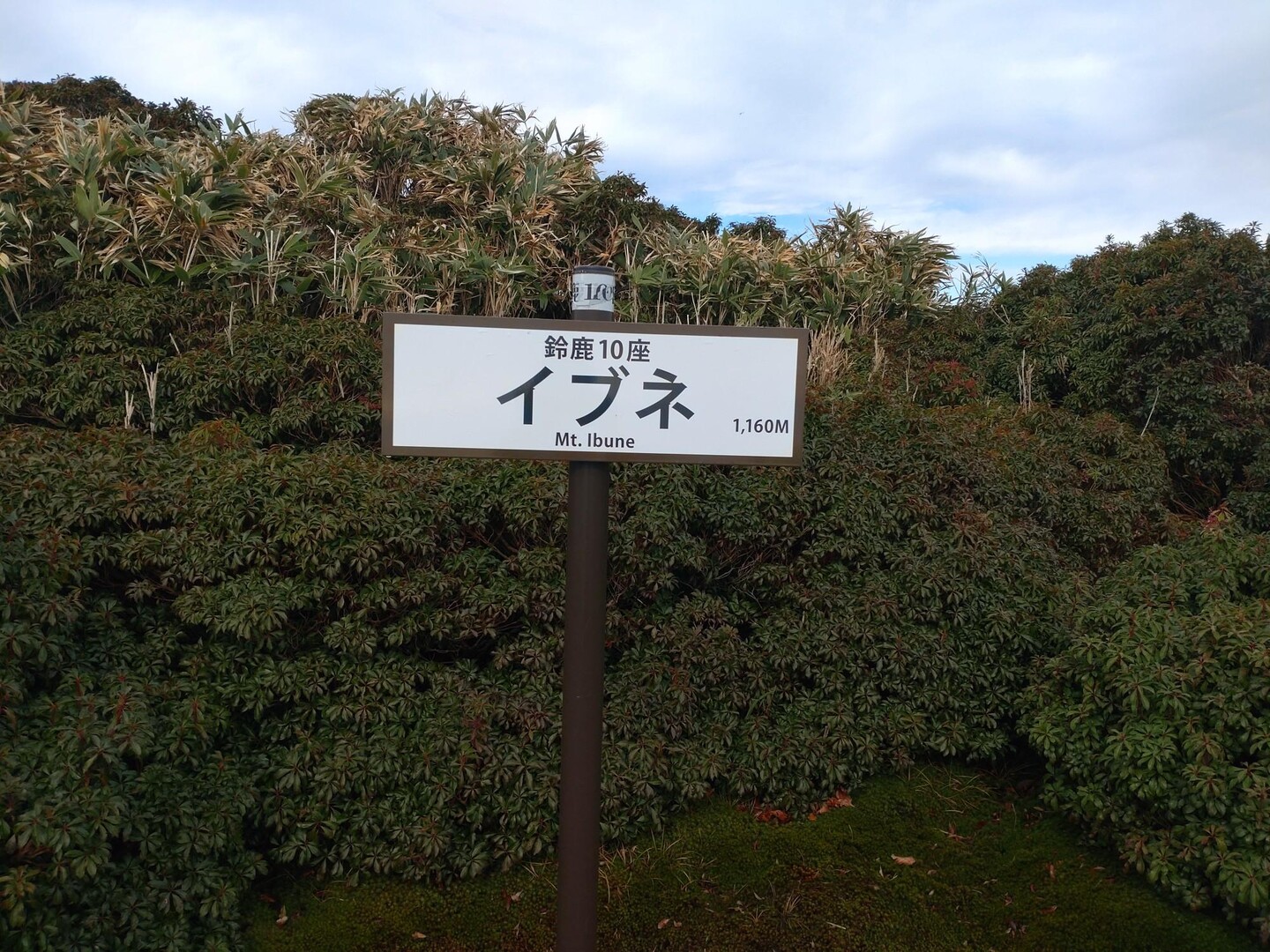 杉峠ノ頭・イブネ・クラシ 甲津畑より / ks104478さんの綿向山の活動データ | YAMAP / ヤマップ