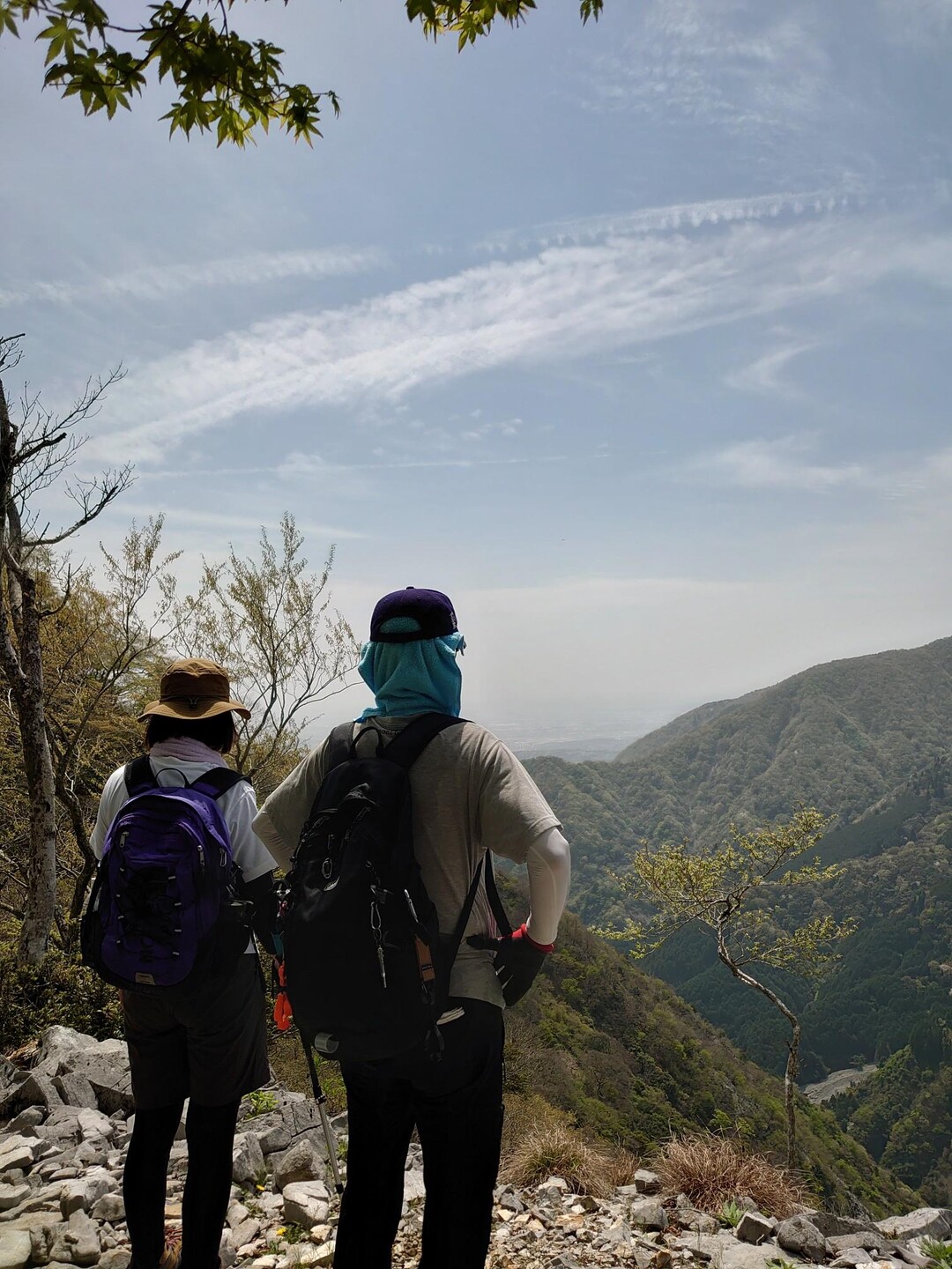 花を求めていざ草木🌲🌿 / shimoさんの竜ヶ岳の活動データ | YAMAP / ヤマップ
