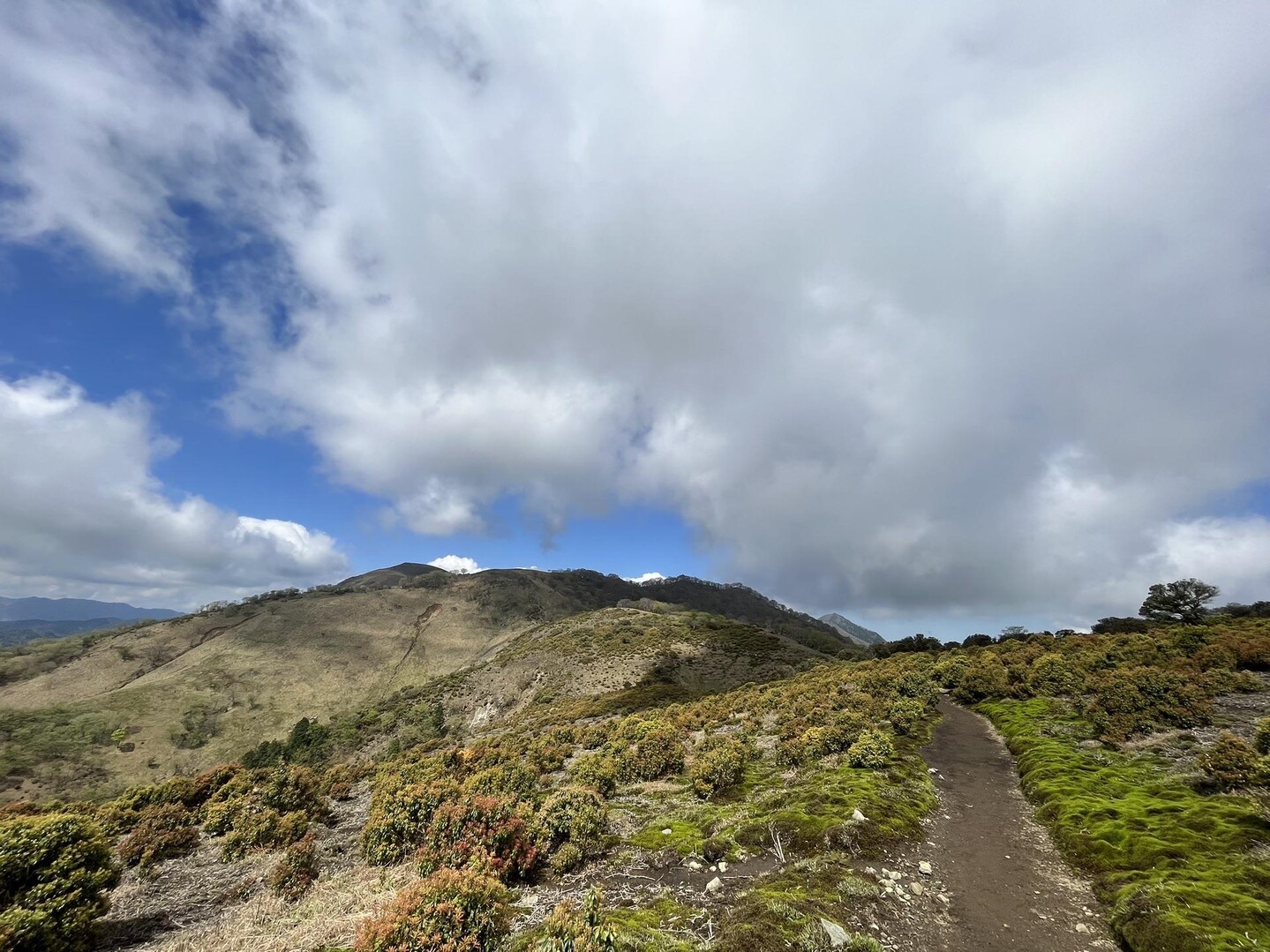 竜ヶ岳 / issaさんの竜ヶ岳の活動データ | YAMAP / ヤマップ