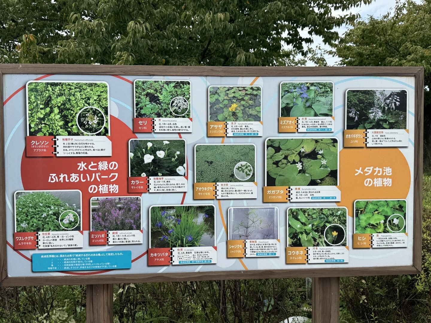 木場潟周回 2024-09-29 / jt0450さんの小松市の活動データ | YAMAP / ヤマップ